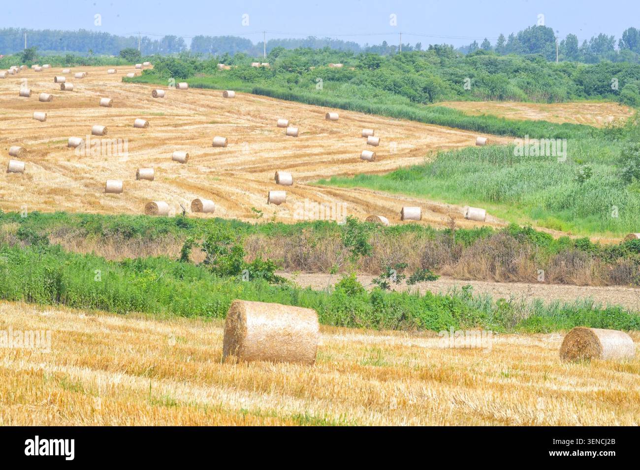 Tourists visit wheat straw rolls in Duanchong Village, Xiaomiao Town ...