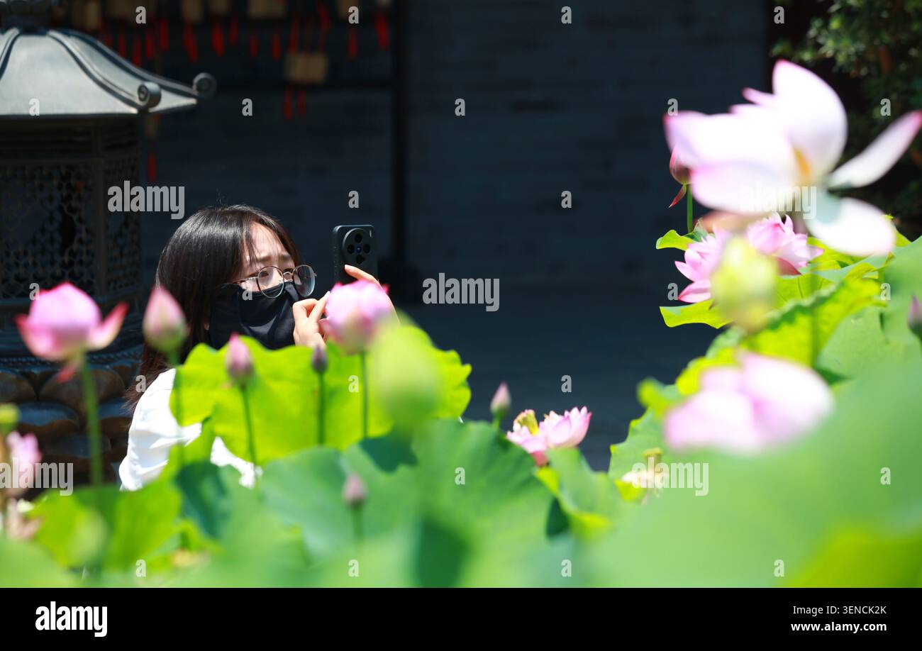 Visitors admire and photograph lotus flowers at Jianchu Temple in ...