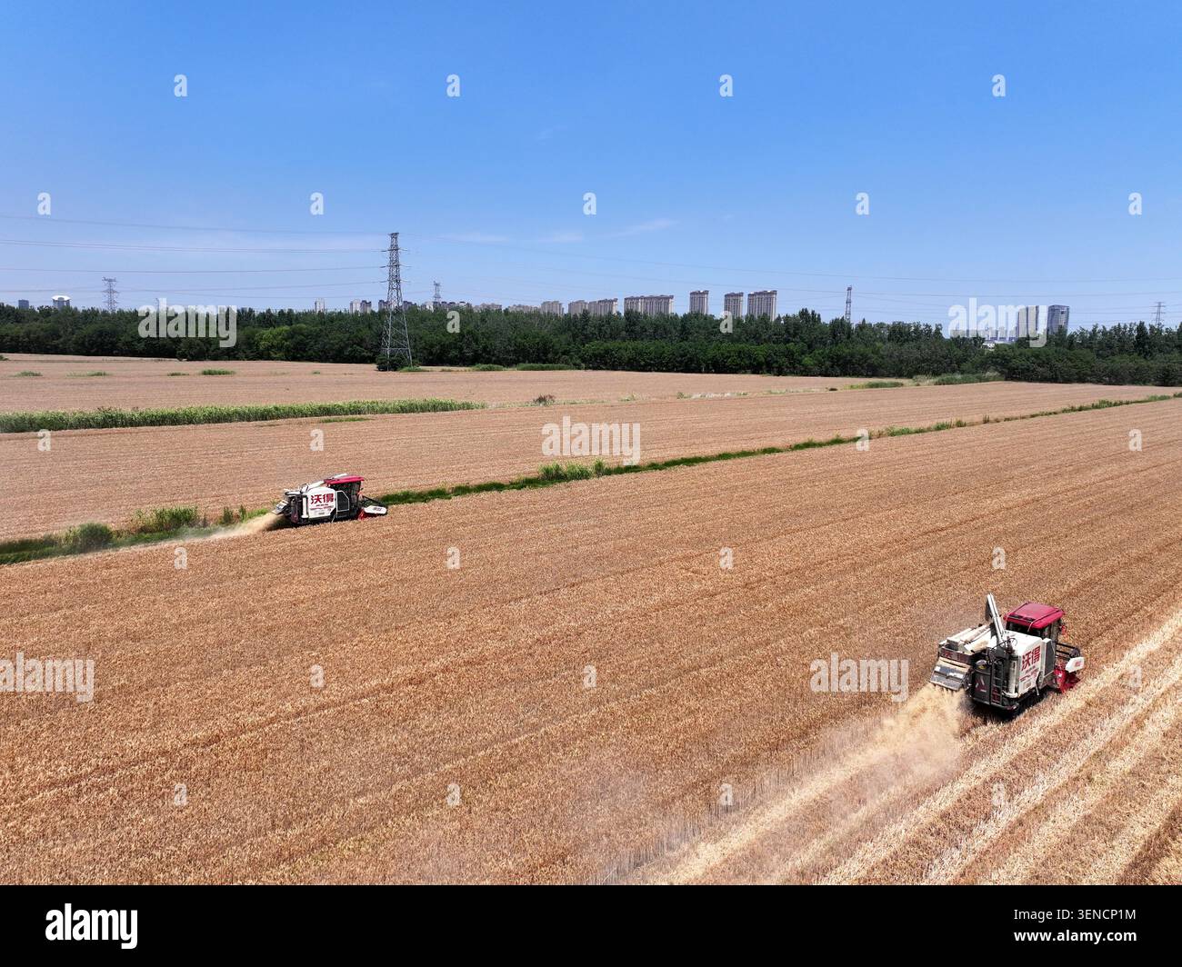 A harvester operates in Mayi Village, Chaoyang Subdistrict, Lianyungang ...