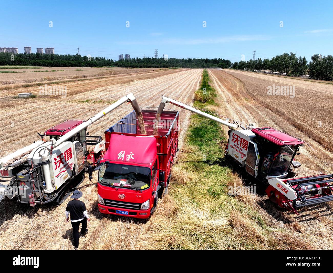 A harvester operates in Mayi Village, Chaoyang Subdistrict, Lianyungang ...