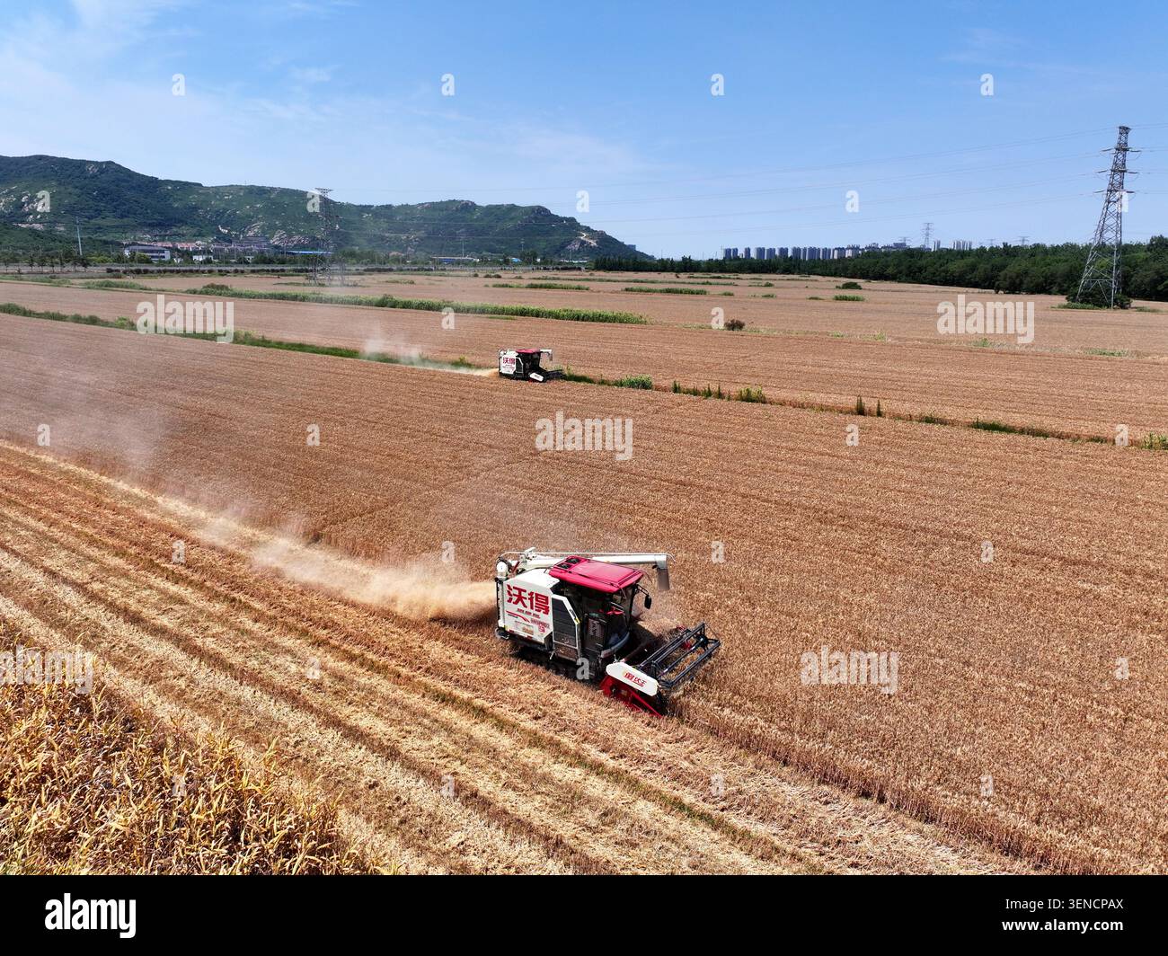 A harvester operates in Mayi Village, Chaoyang Subdistrict, Lianyungang ...