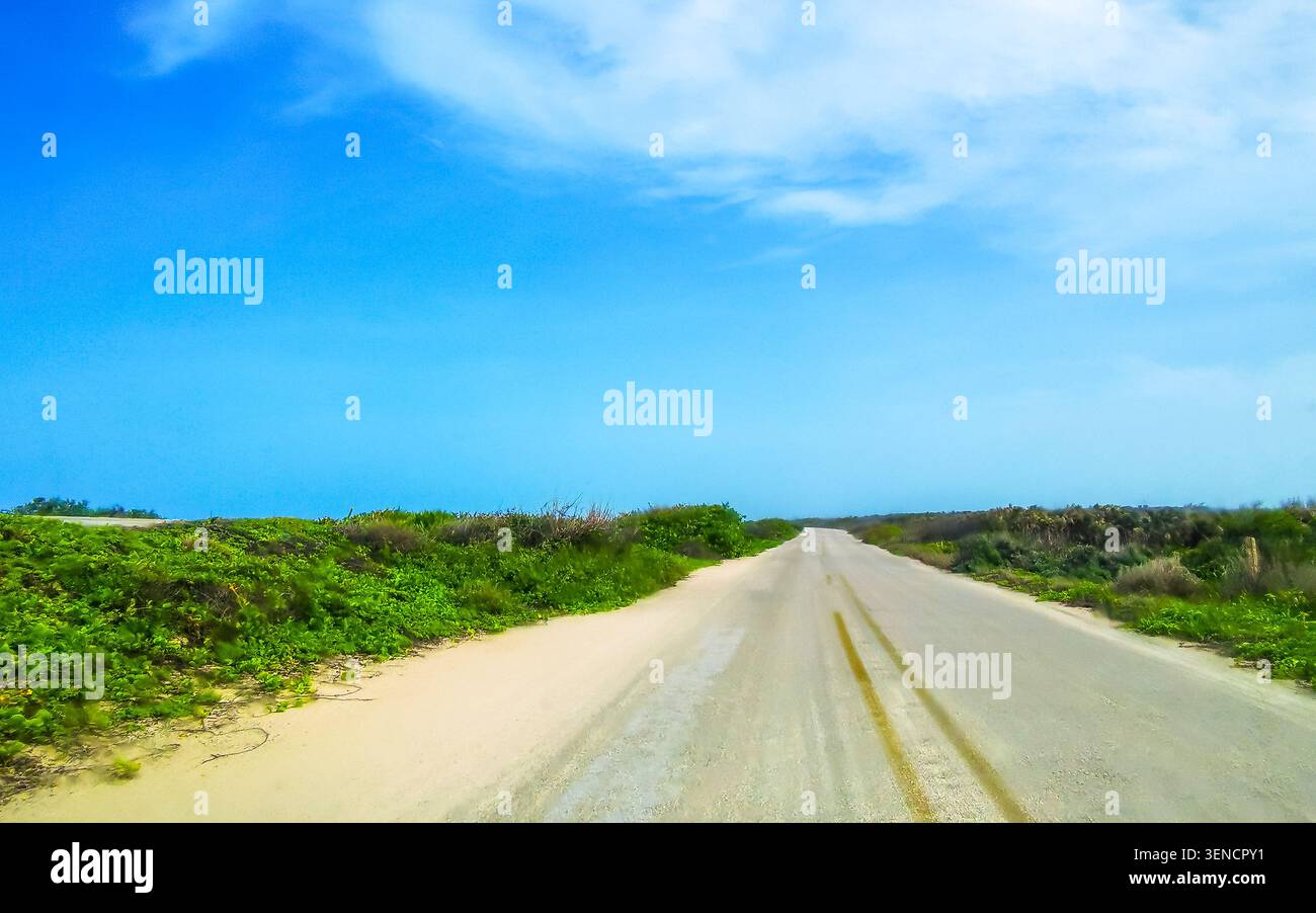 Sunlit island road through dense tropical vegetation under blue sky on ...