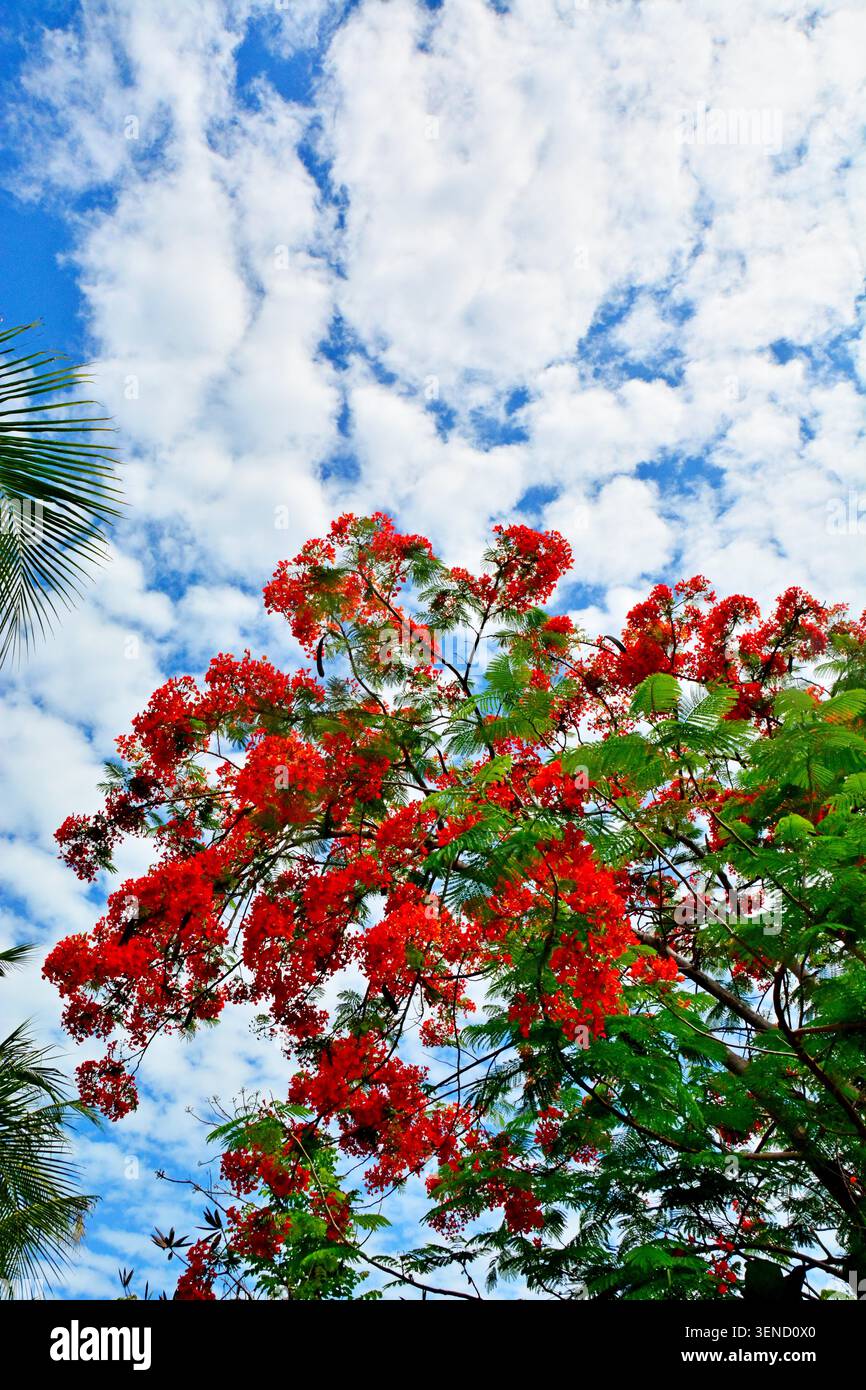 The sky displays dramatic cloud formations over Sanya in south China's ...