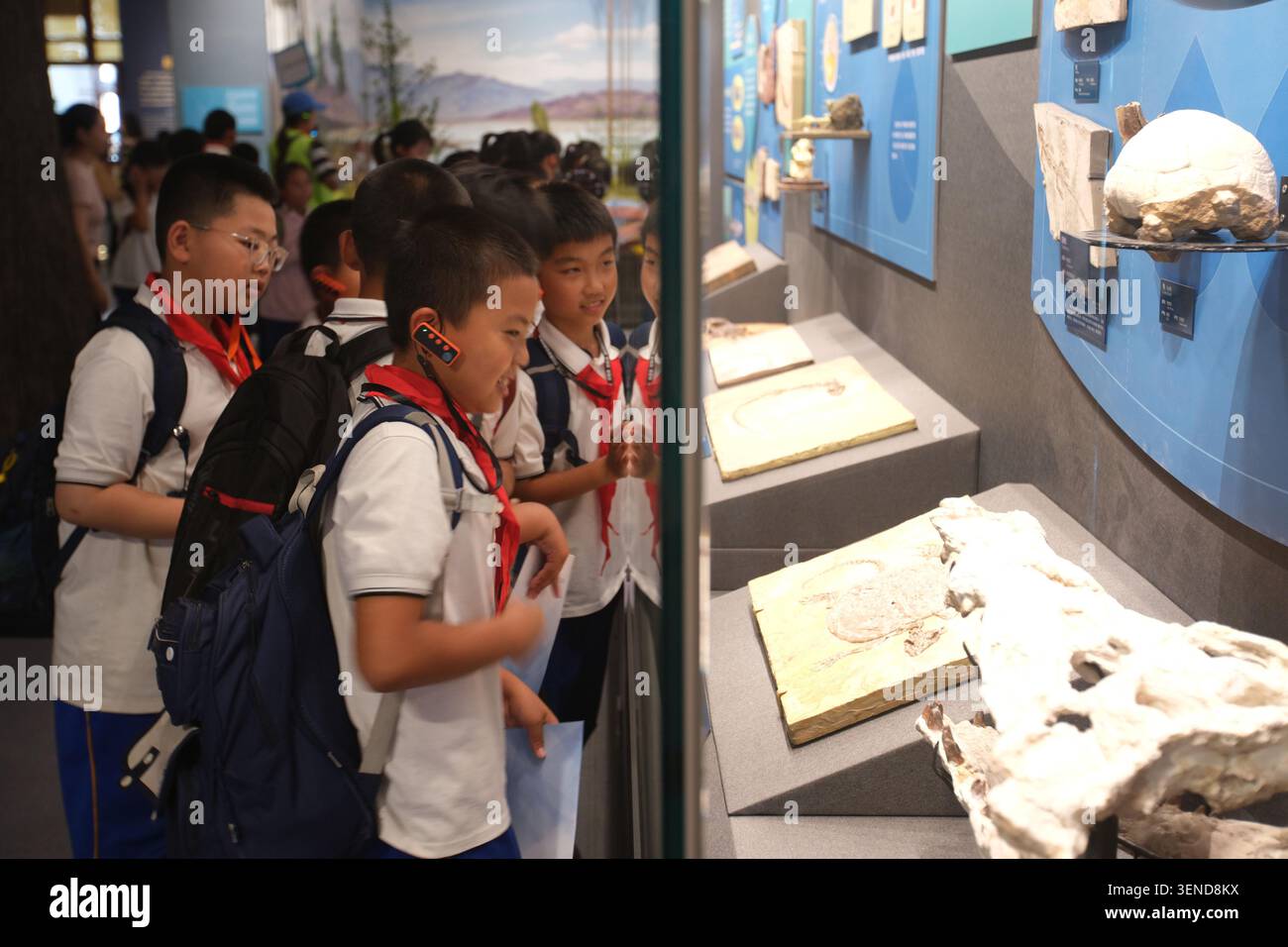 Visitors tour the 'Rise of Vertebrates' exhibition at the National ...