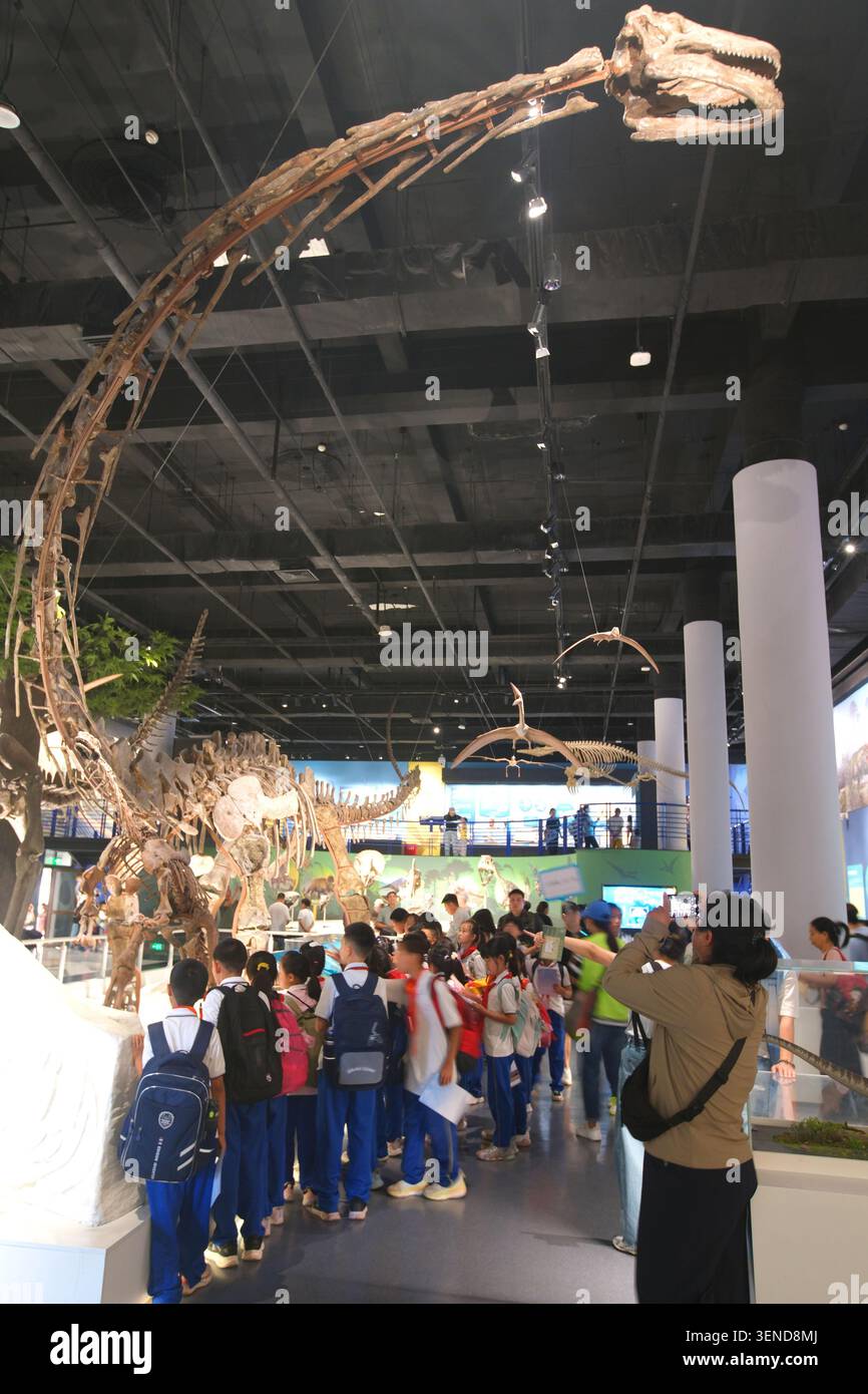Visitors tour the 'Rise of Vertebrates' exhibition at the National ...