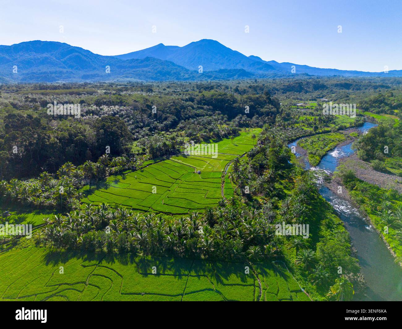 Beautiful morning view in Indonesia, panoramic landscape of rice fields ...