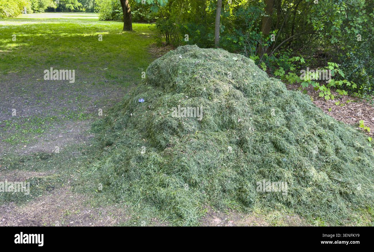 A pile of freshly mowed grass in a park Stock Photo - Alamy