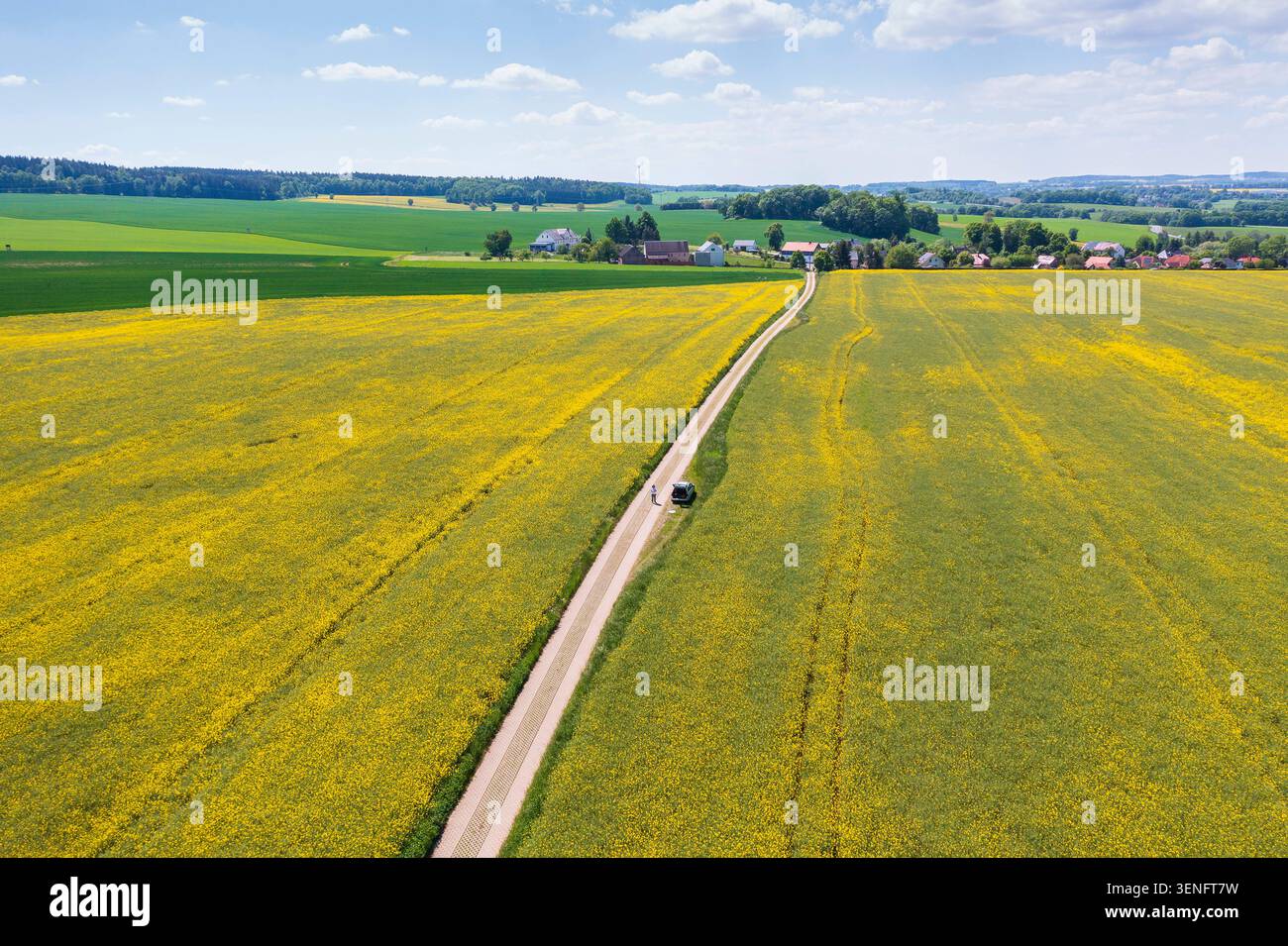 Luftbild eines Feldweges zwischen Rapsfeldern, Lichtentanne, Sachsen ...