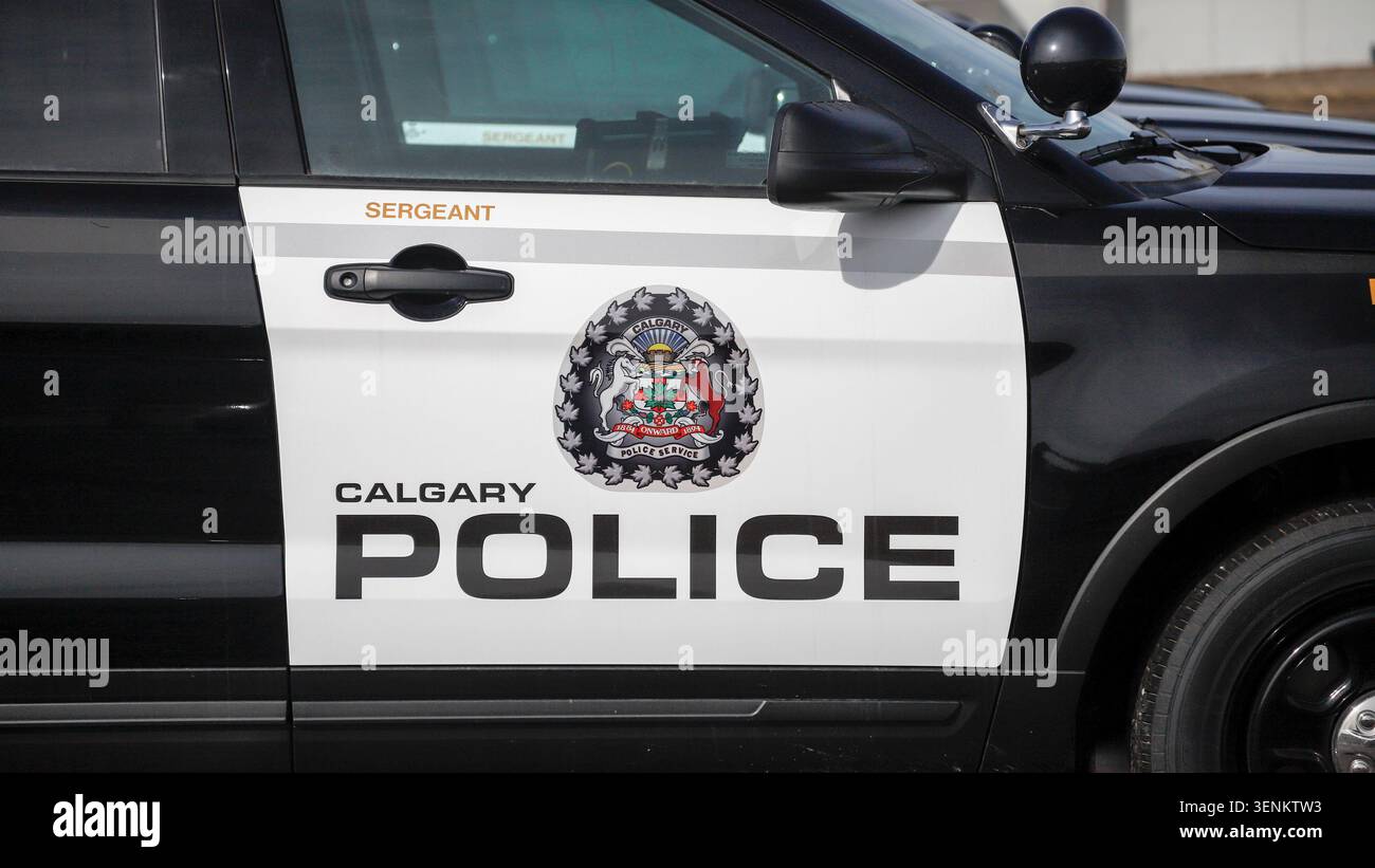A Calgary Police Service logo is seen on a vehicle parked at ...