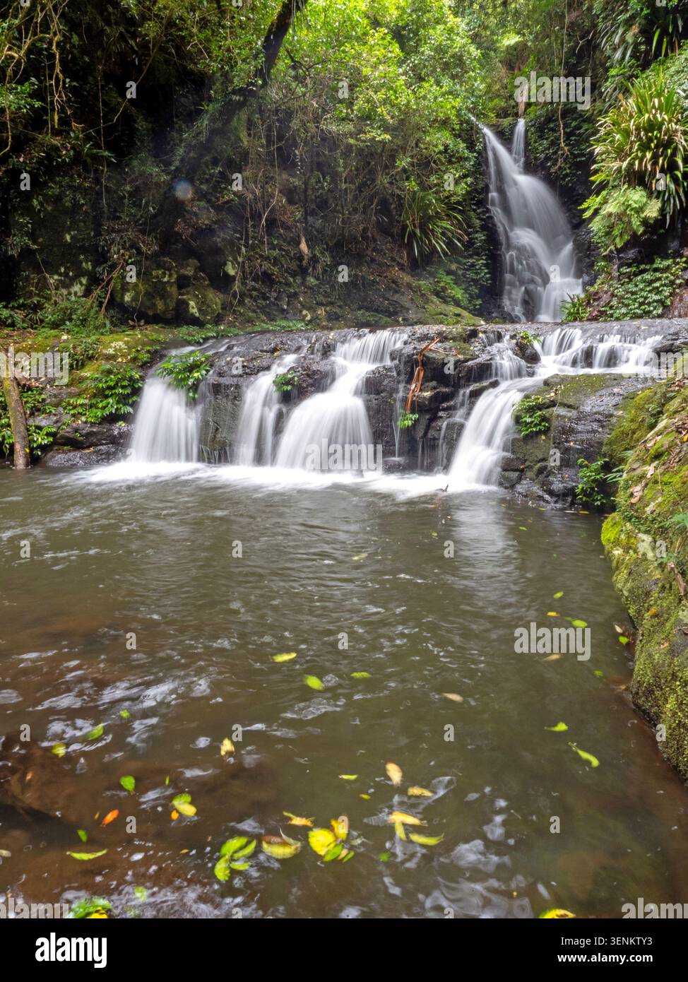 Elabana Falls, Lamington National Park Stock Photo - Alamy
