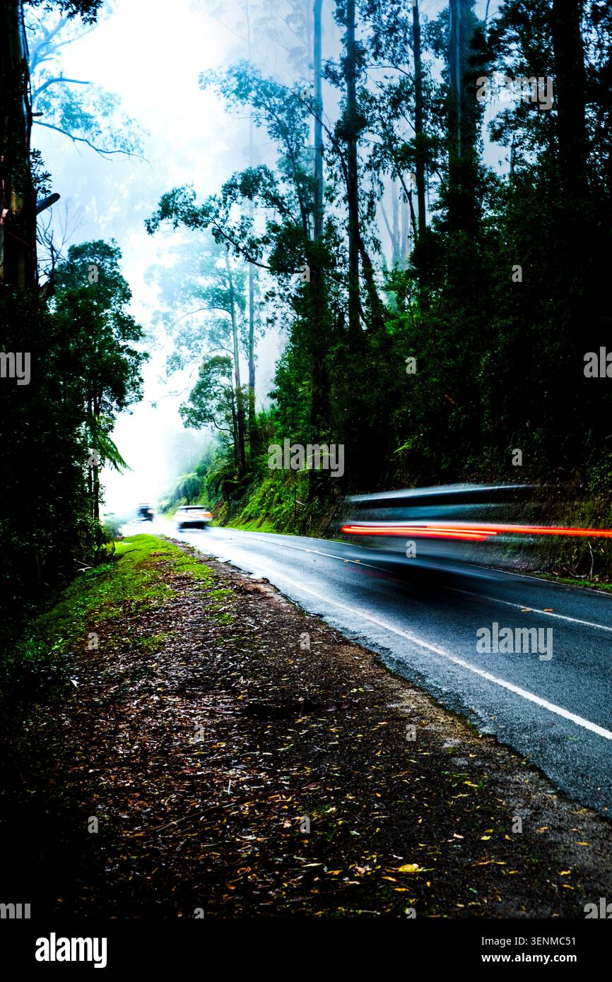 OLINDA, VICTORIA, AUSTRLALIA: 3 MAY 2026. In late Autumn, deep fog ...