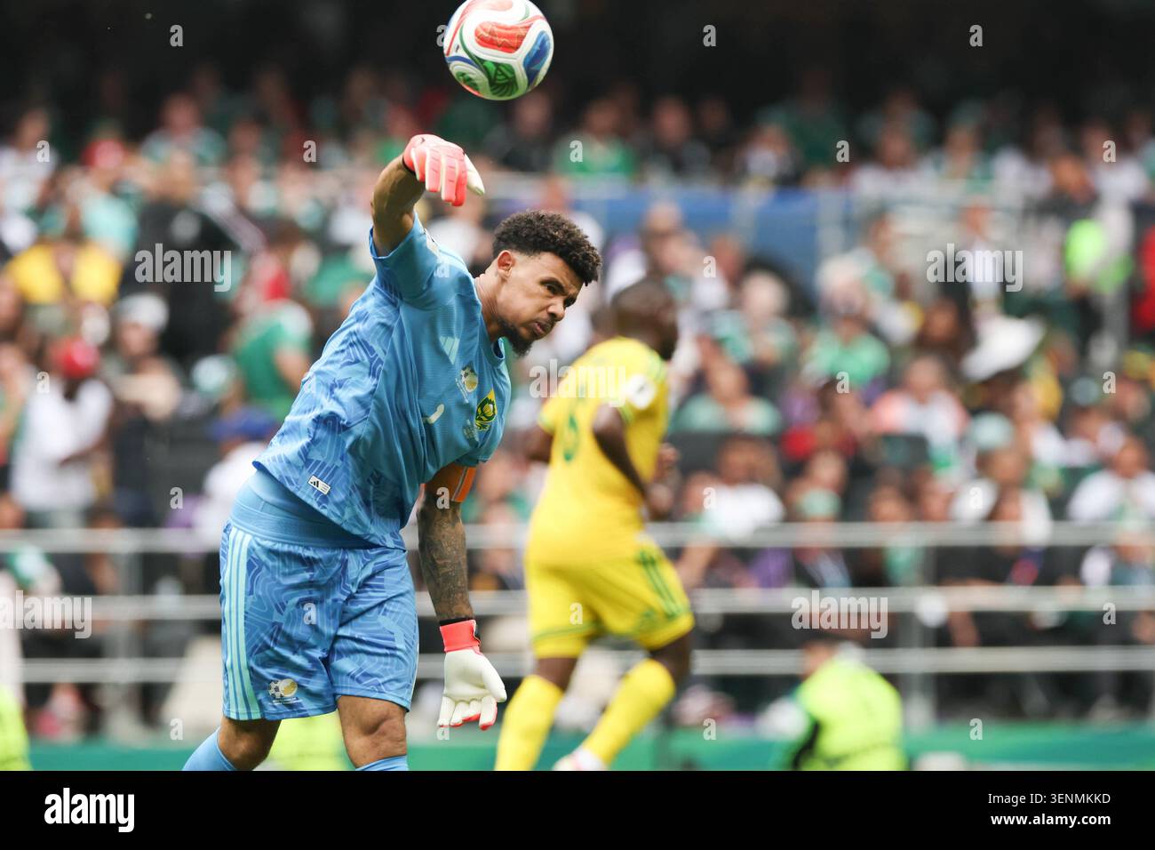 IPA85600043 - Ronwen Williams of South Africa during the FIFA World Cup ...