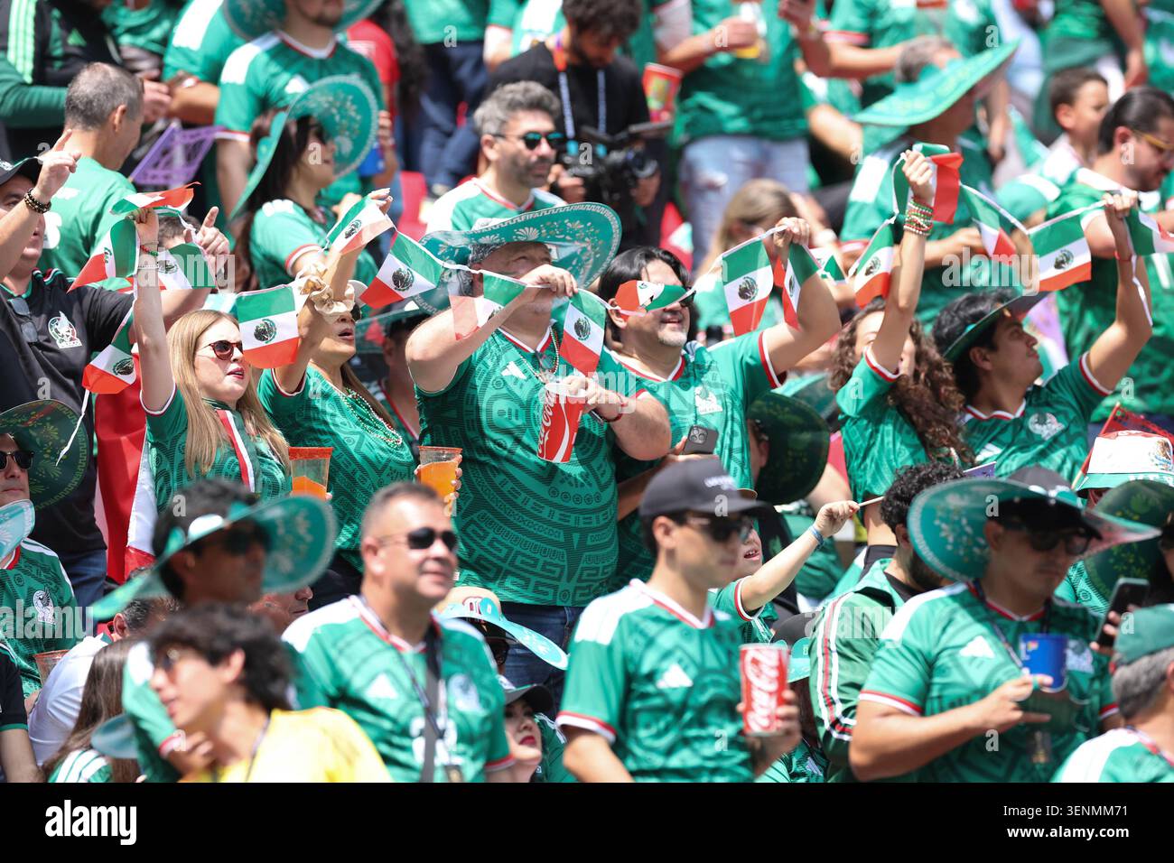 IPA85600075 - Supporters, fans of Mexico during the FIFA World Cup 2026 ...