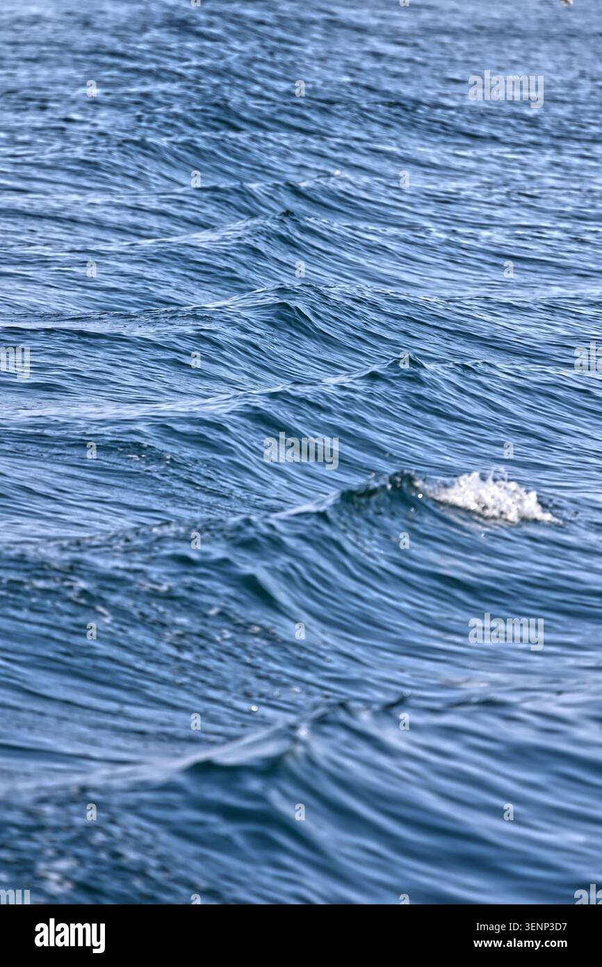 Gentle blue waves, current on water's surface or wake from boat ...