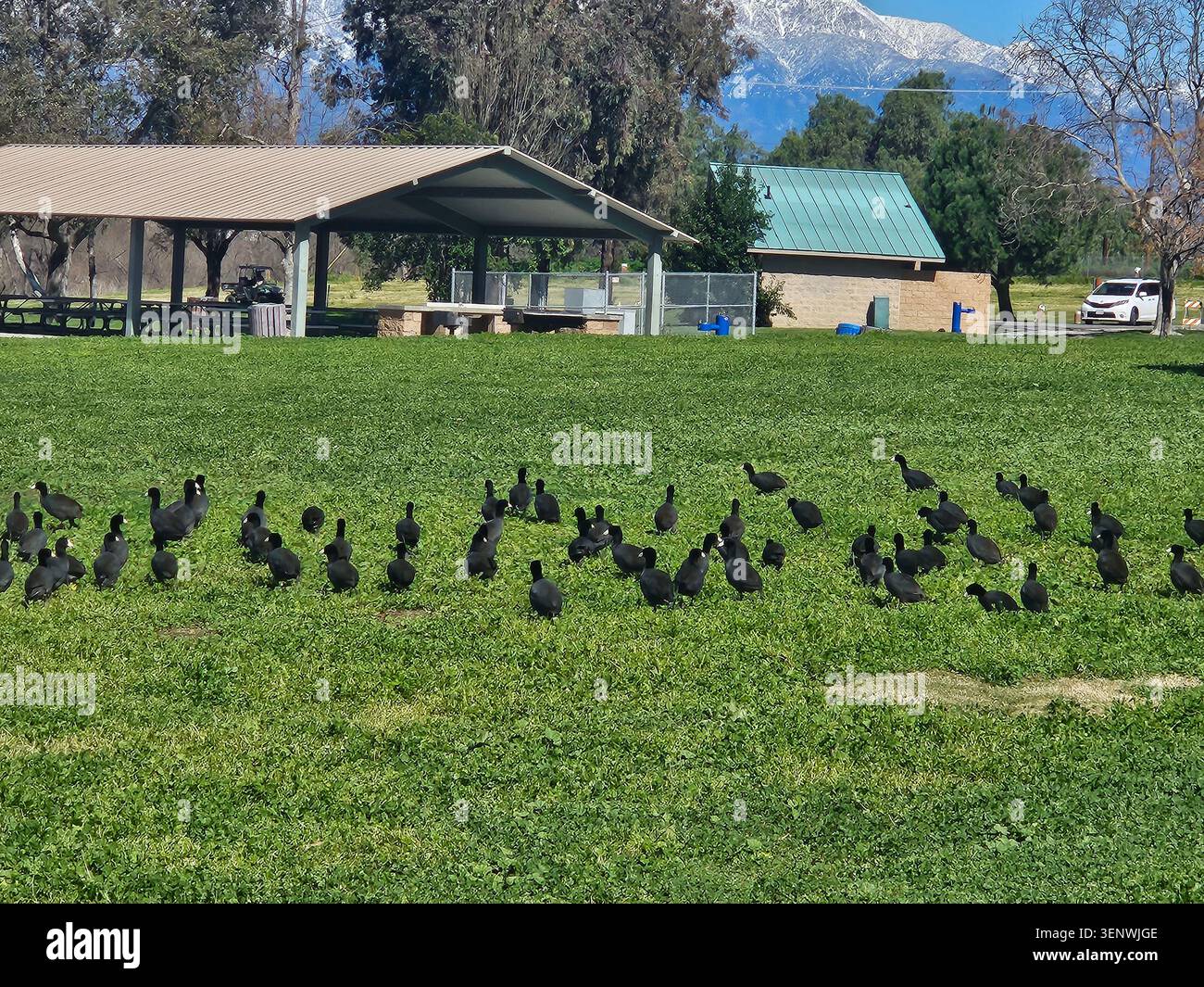 Suburban area san gabriel mountains hi-res stock photography and images ...
