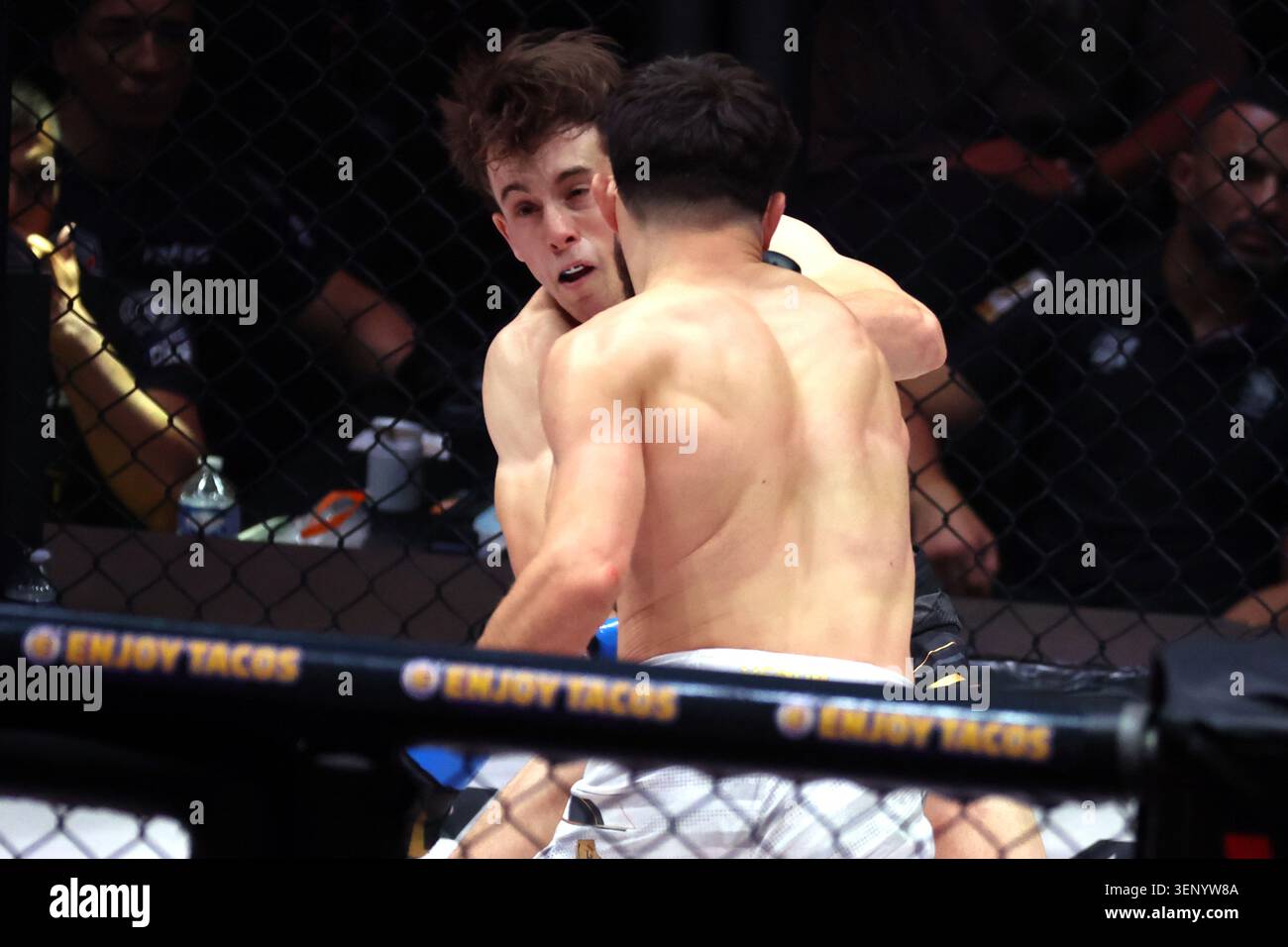 Paul Denis NAVERO during the Hexagone MMA 45 at LDLC Arena on June 12 ...