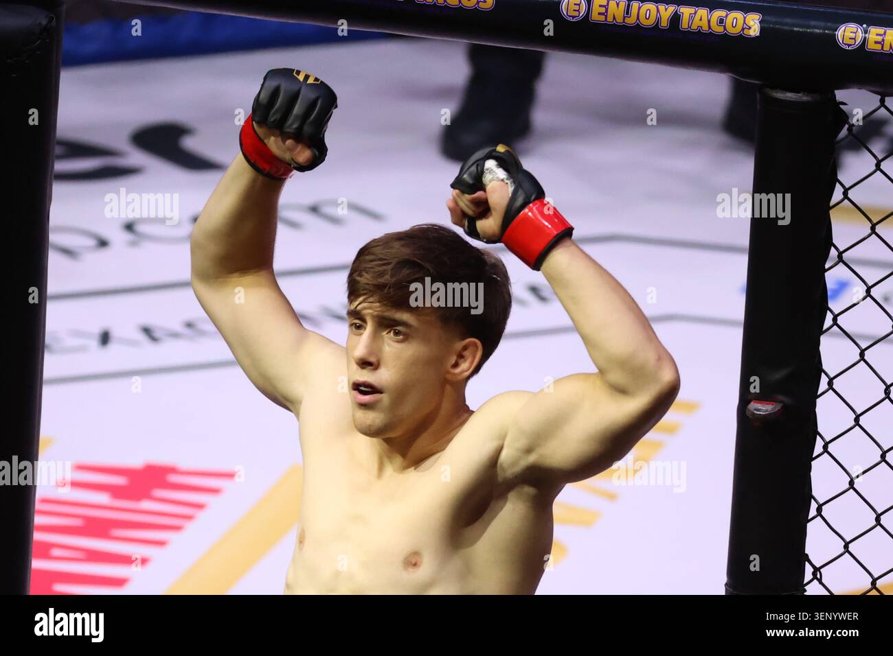 Paul Denis NAVERO during the Hexagone MMA 45 at LDLC Arena on June 12 ...