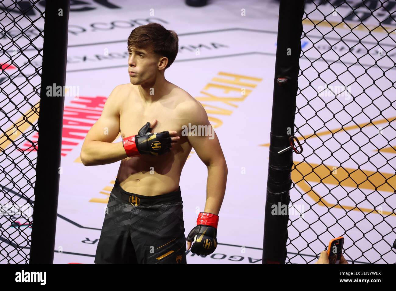 Paul Denis NAVERO during the Hexagone MMA 45 at LDLC Arena on June 12 ...