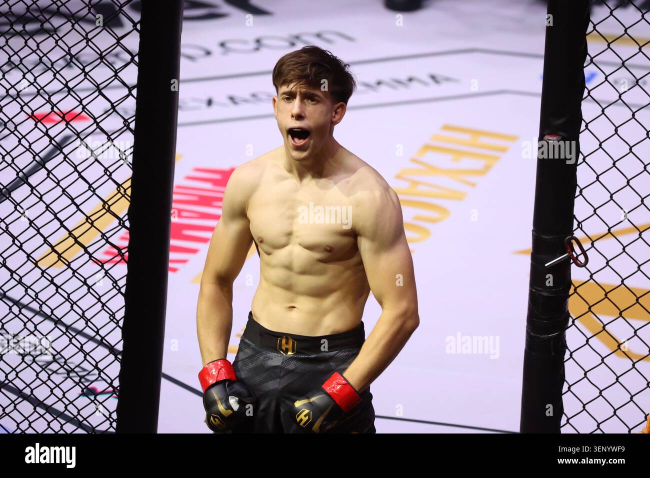 Paul Denis NAVERO during the Hexagone MMA 45 at LDLC Arena on June 12 ...