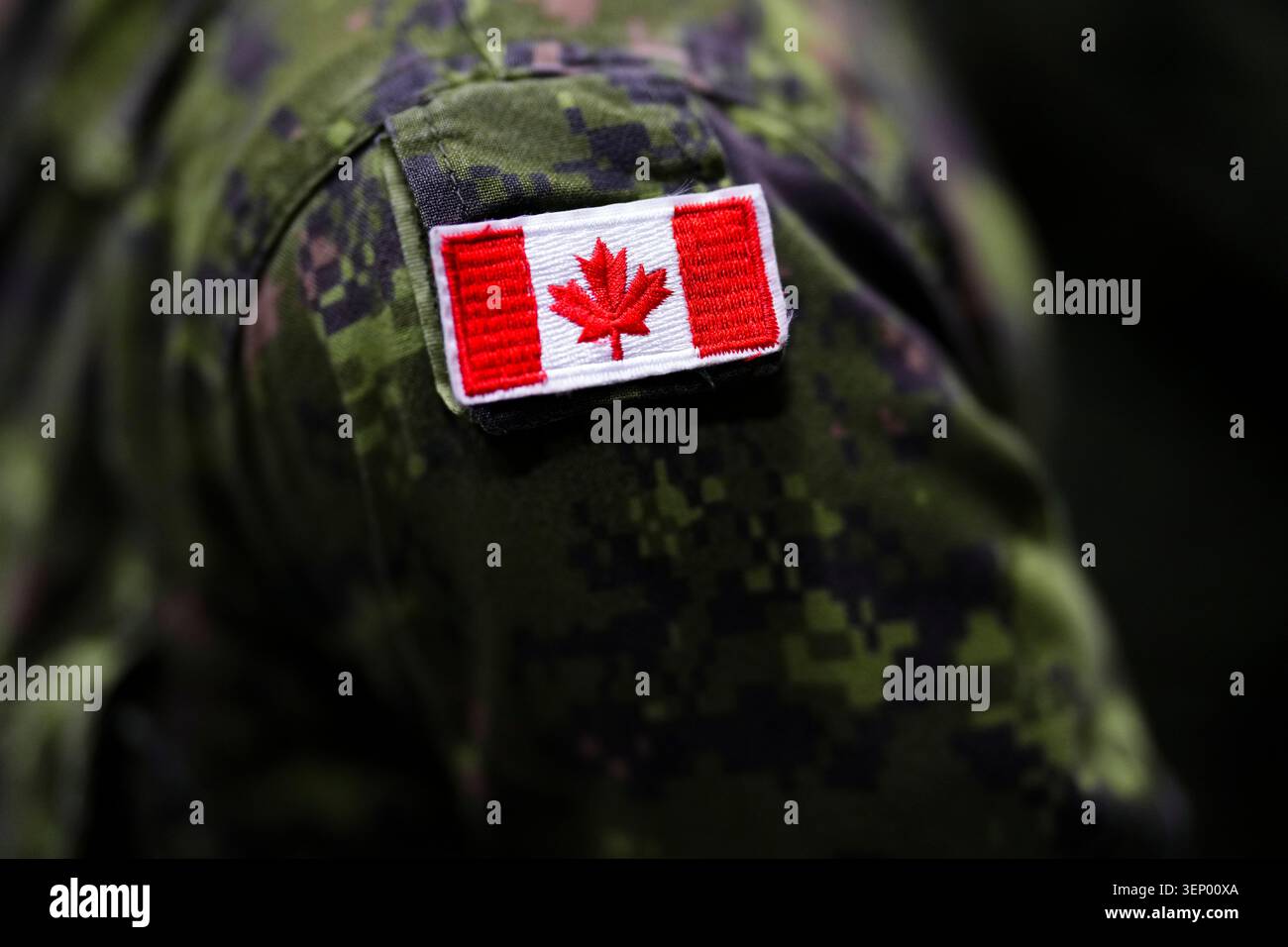 File photo ‚Äî A Canadian soldier seen at Garrison Petawawa in Petawawa ...
