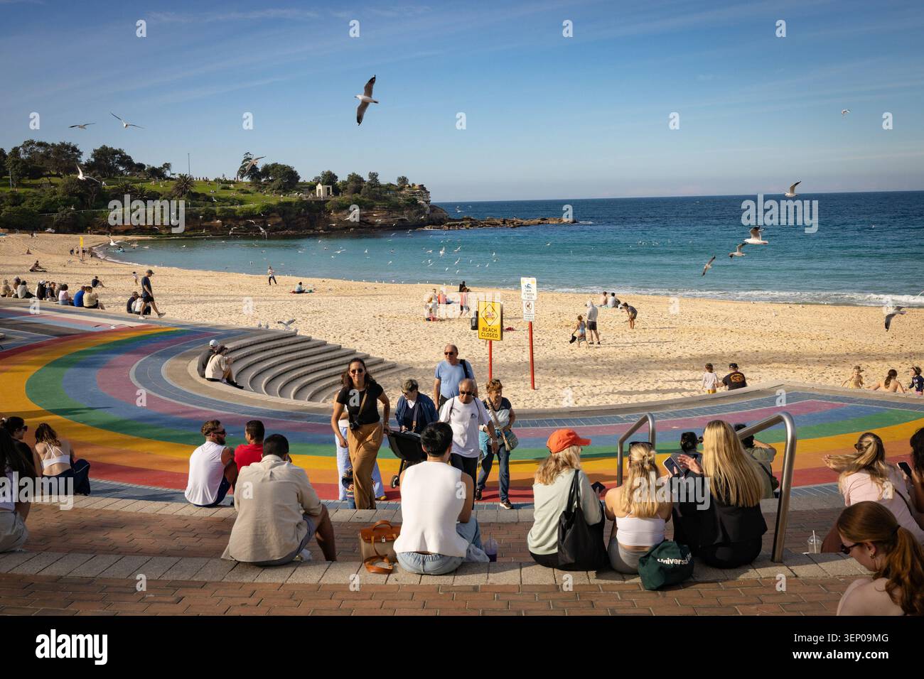 Coogee beach after a shark attack left a woman in a critical condition ...