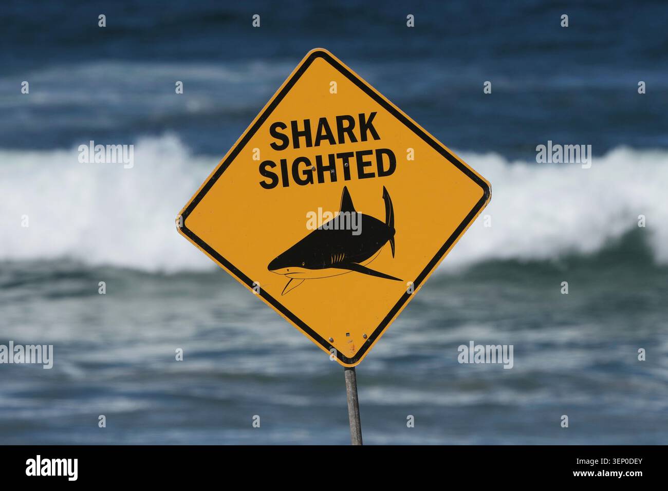 FILE - A sign is seen at the site of a fatal shark attack at Dee Why ...