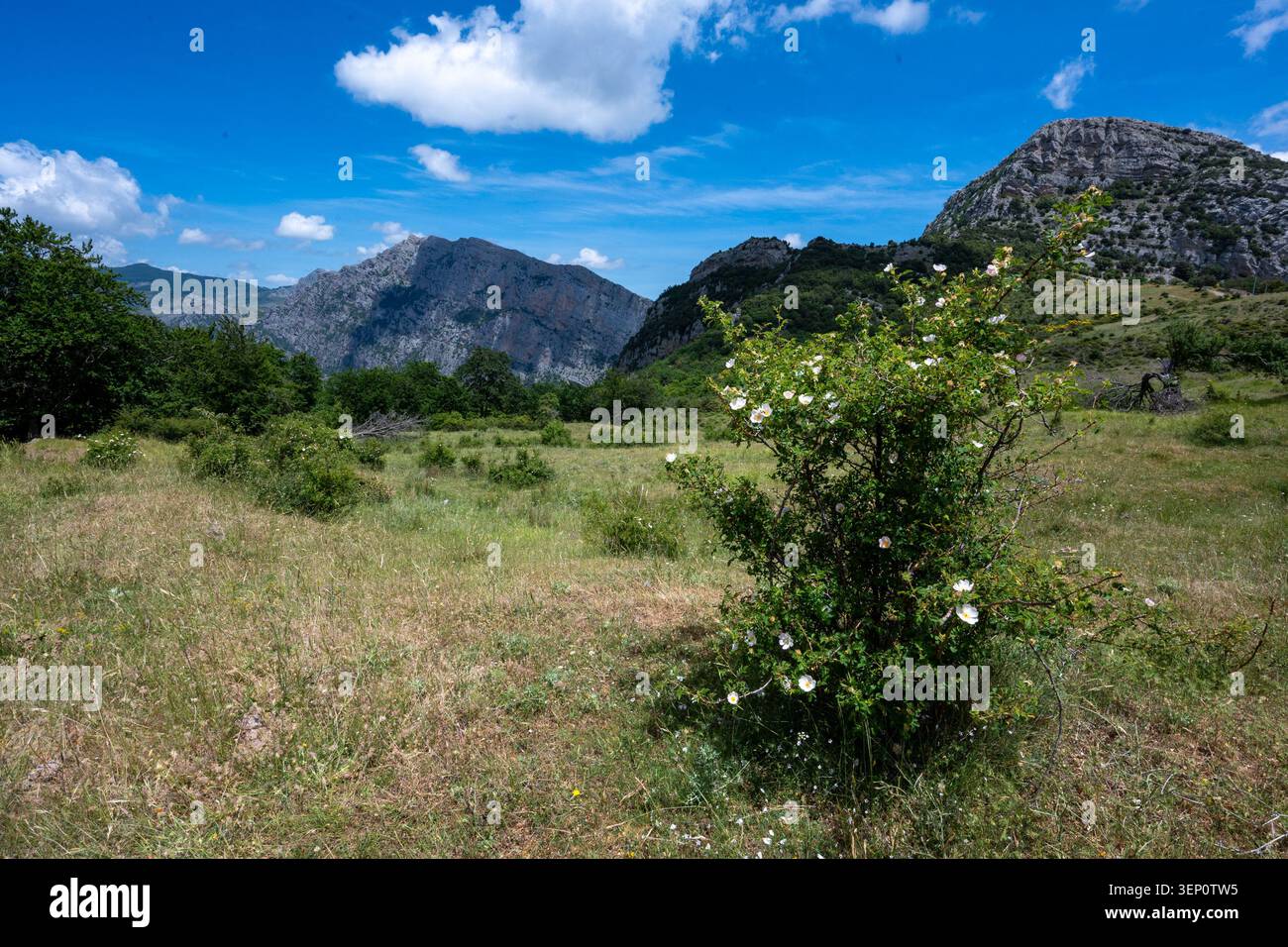 Pollino National Park - Panoramic view of Colle Marcione - Italy, June ...
