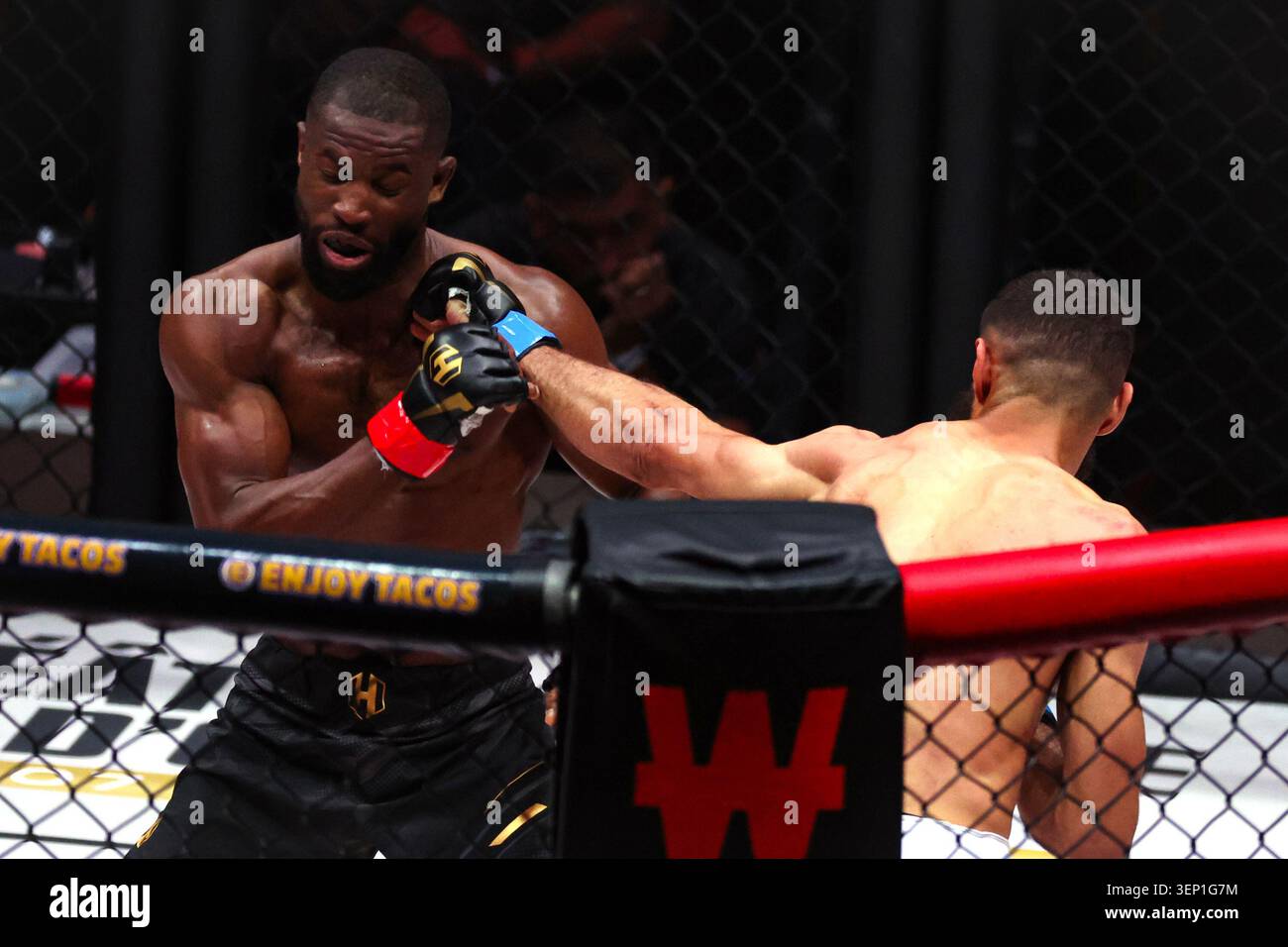 Youssouf OUATTARA during the Hexagone MMA 45 at LDLC Arena on June 12 ...