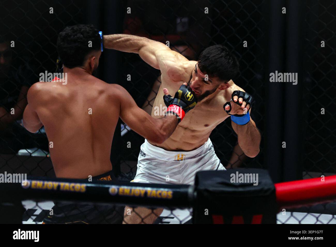 Muhammed Fatih OZTURK during the Hexagone MMA 45 at LDLC Arena on June ...