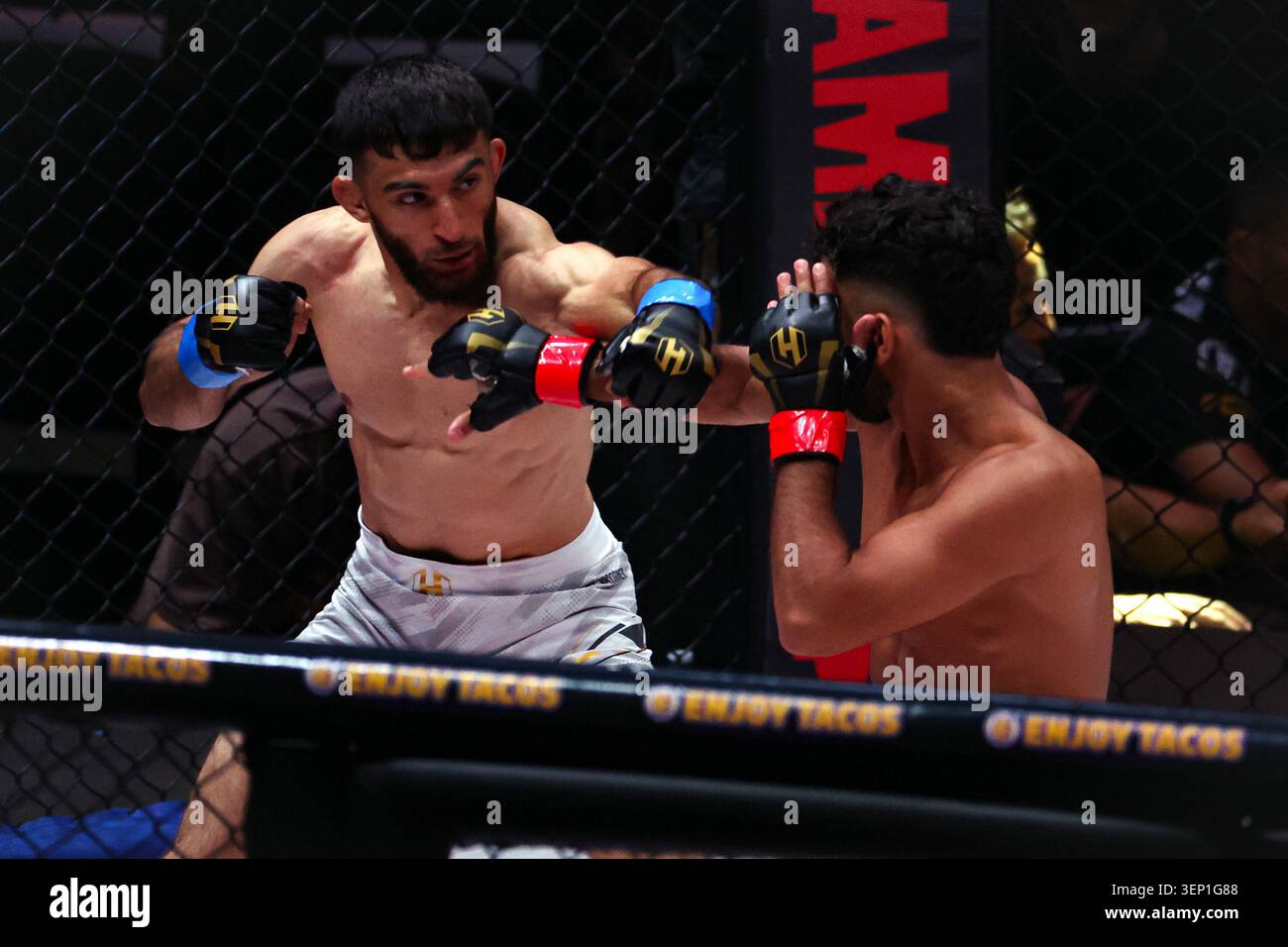 Muhammed Fatih OZTURK during the Hexagone MMA 45 at LDLC Arena on June ...