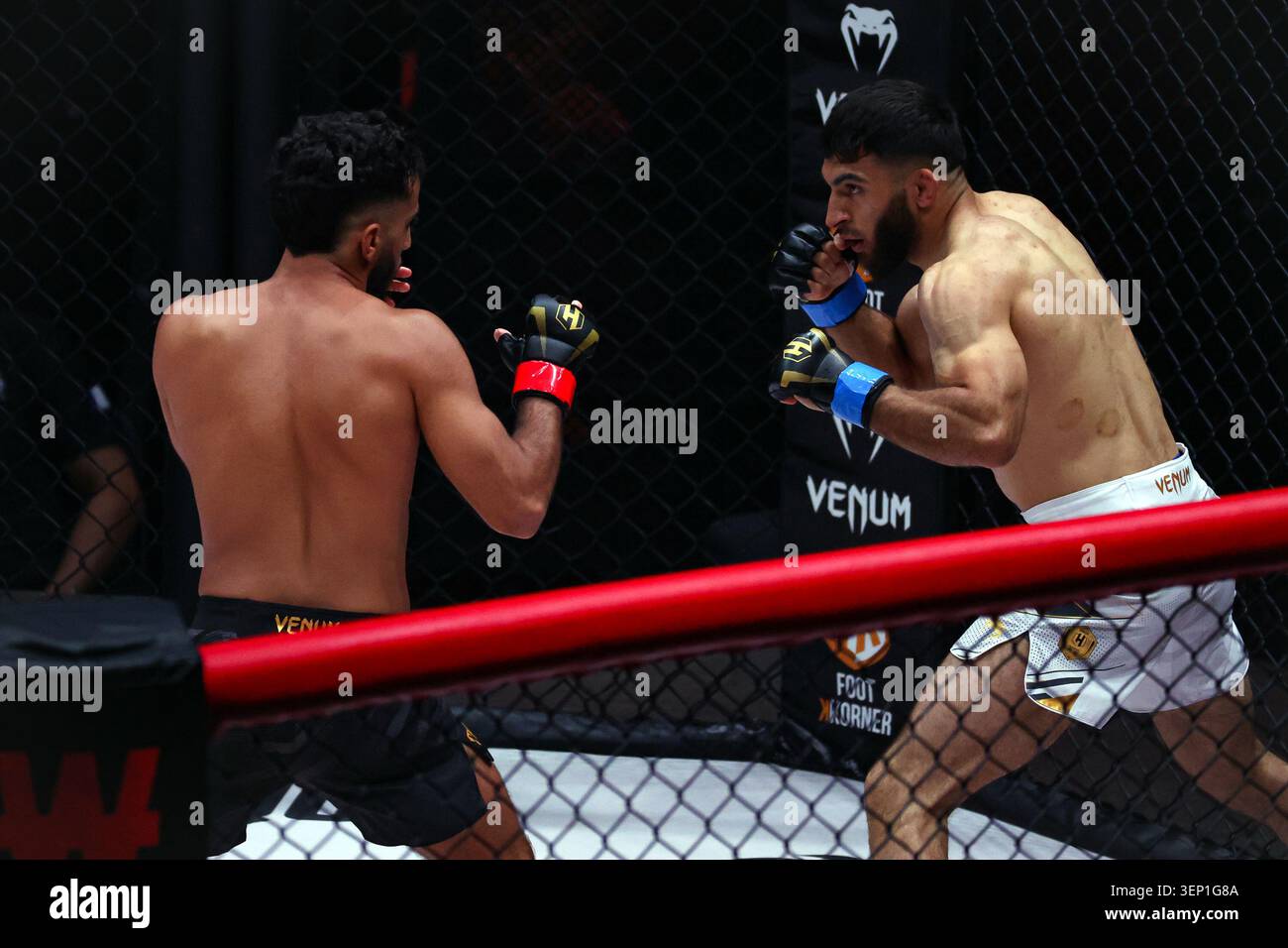Muhammed Fatih OZTURK during the Hexagone MMA 45 at LDLC Arena on June ...
