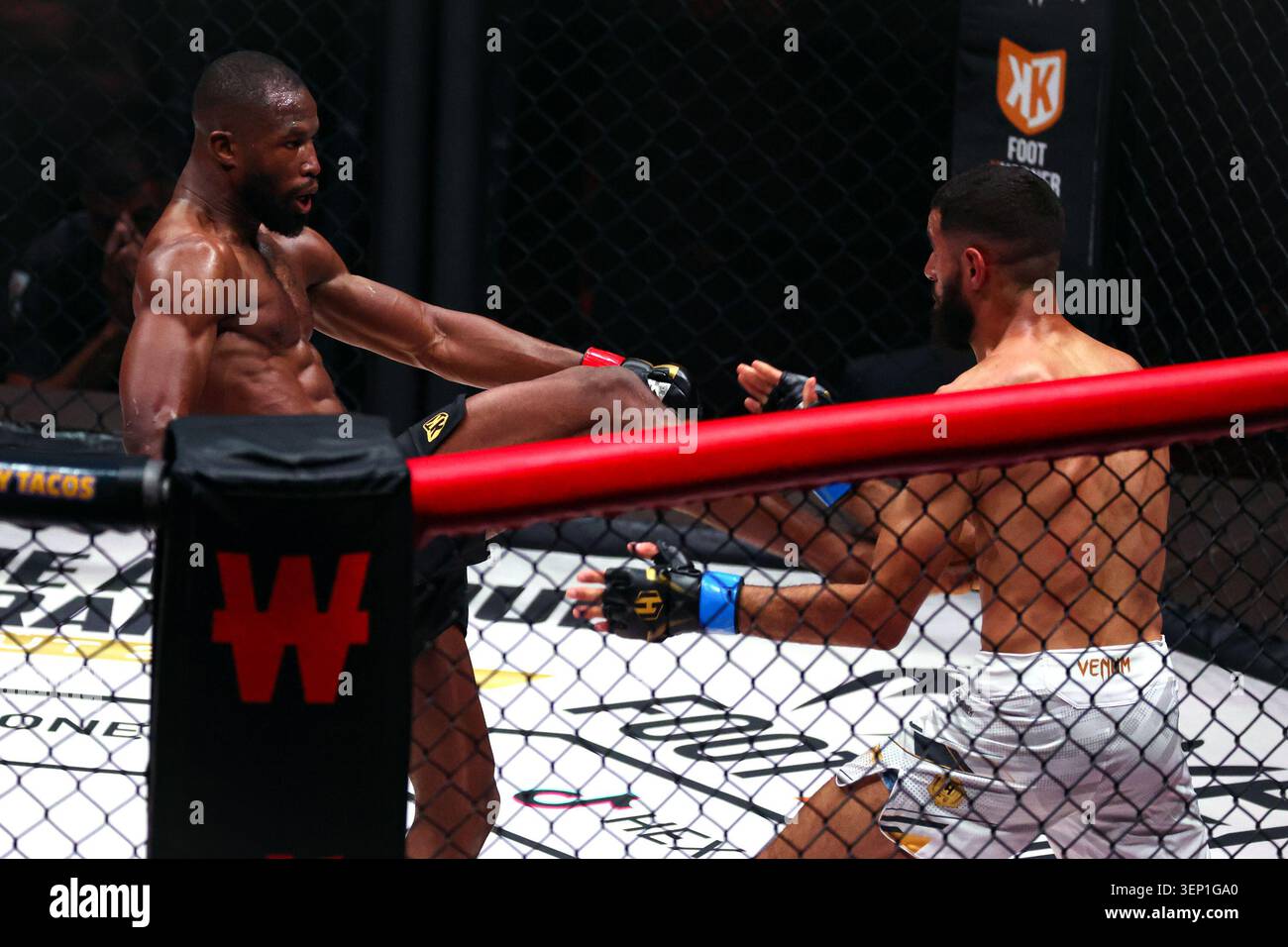 Youssouf OUATTARA during the Hexagone MMA 45 at LDLC Arena on June 12 ...