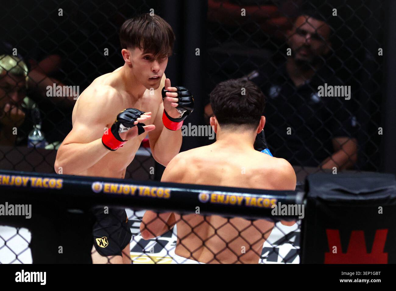 Paul Denis NAVERO during the Hexagone MMA 45 at LDLC Arena on June 12 ...