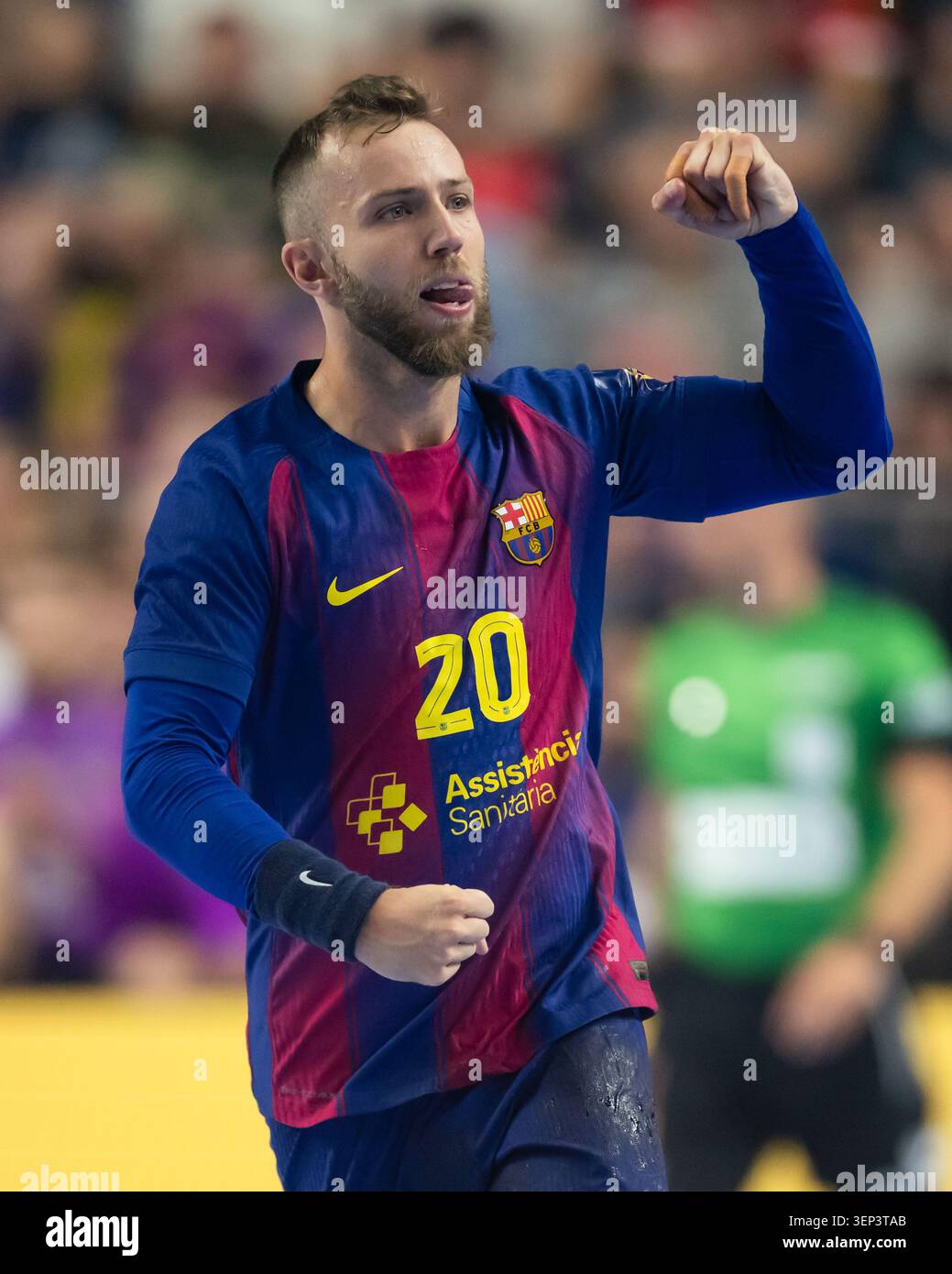 13 June 2026, North Rhine-Westphalia, Cologne: Men's Handball ...