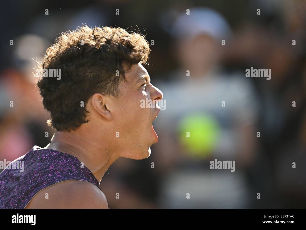 13 June 2026, Baden-Württemberg, Stuttgart: Tennis: ATP Tour ...
