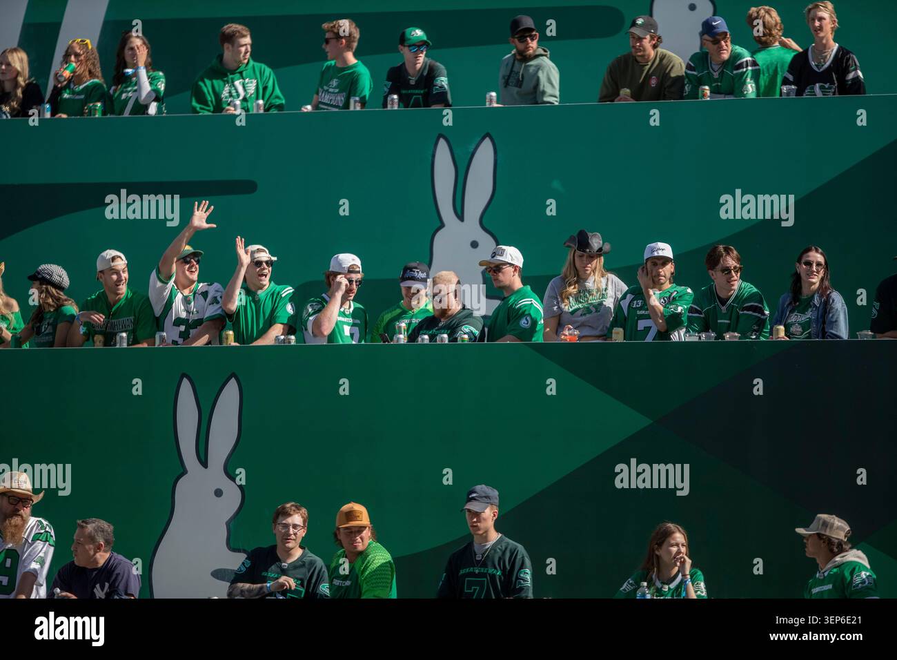 Fans wait for CFL football action to begin inside Mosaic Stadium in ...