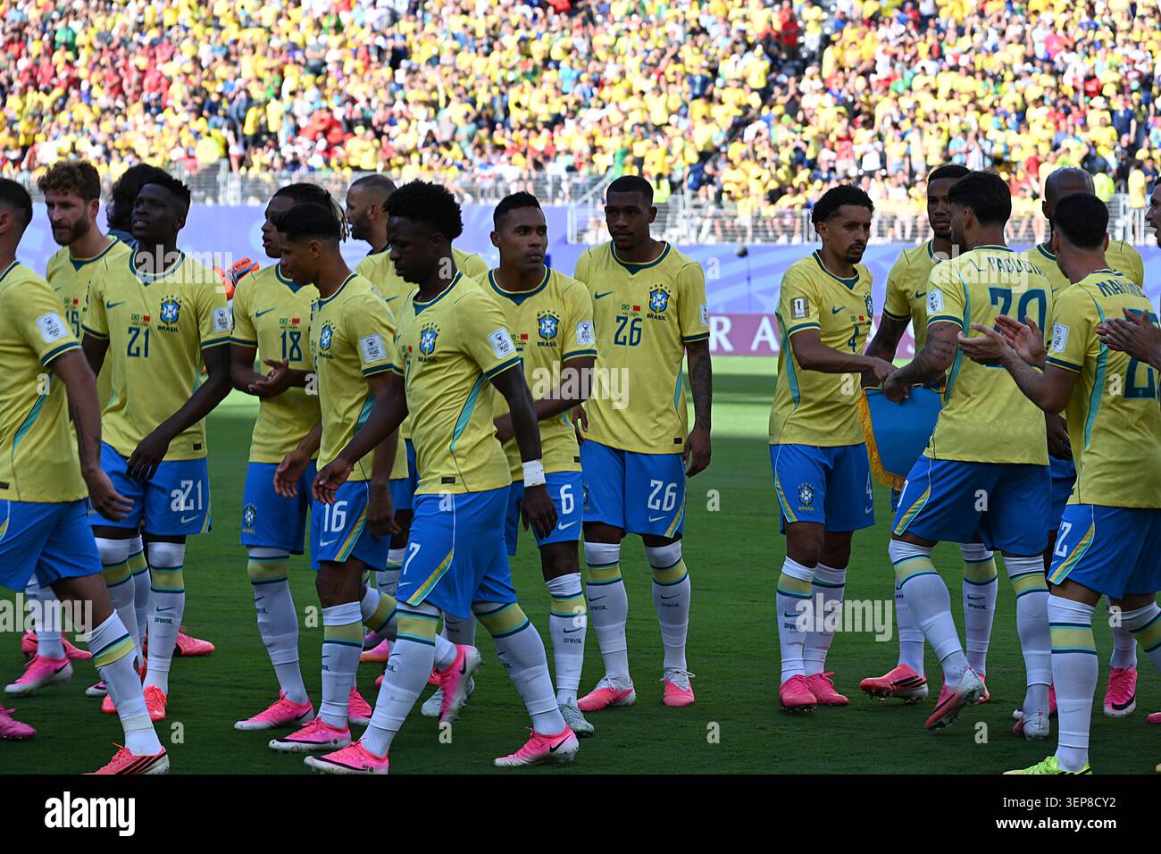 IPA85664189 - The Brazilian squad during the Brazil vs. Morocco match ...