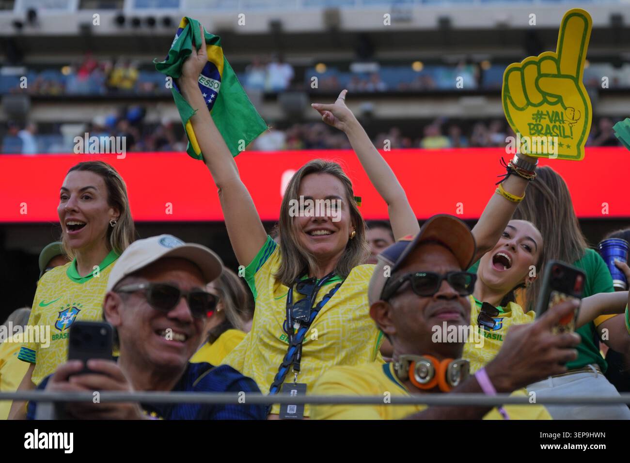 IPA85666321 - Brazilian fans during the Group E match between Ivory ...