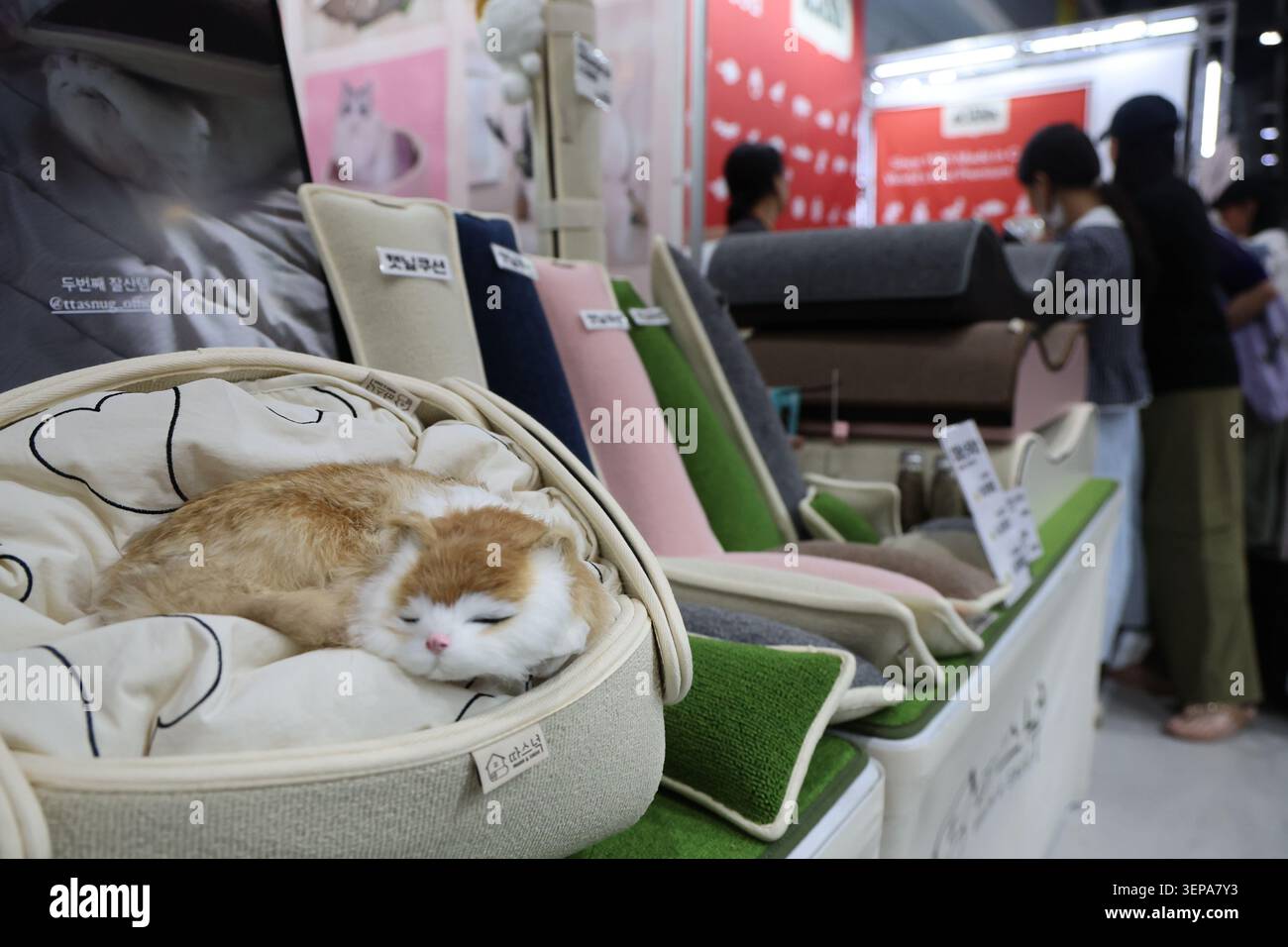 Cat goods fair People visit a cat goods fair at the aT Center in ...