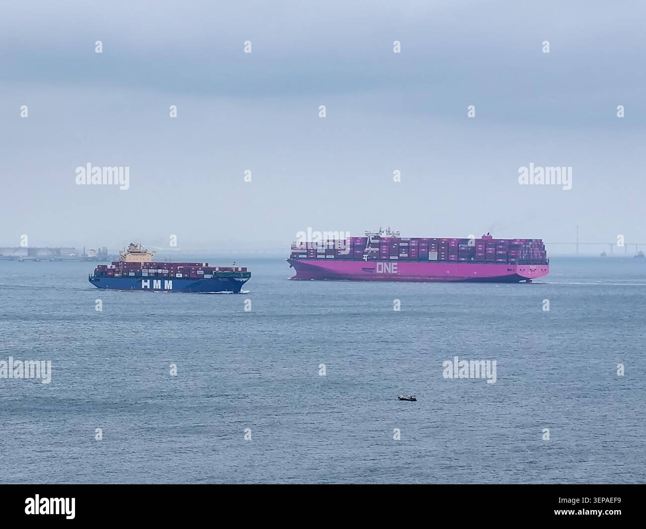 A large ONE container ship and an HMM cargo ship navigate Qingdao Port ...