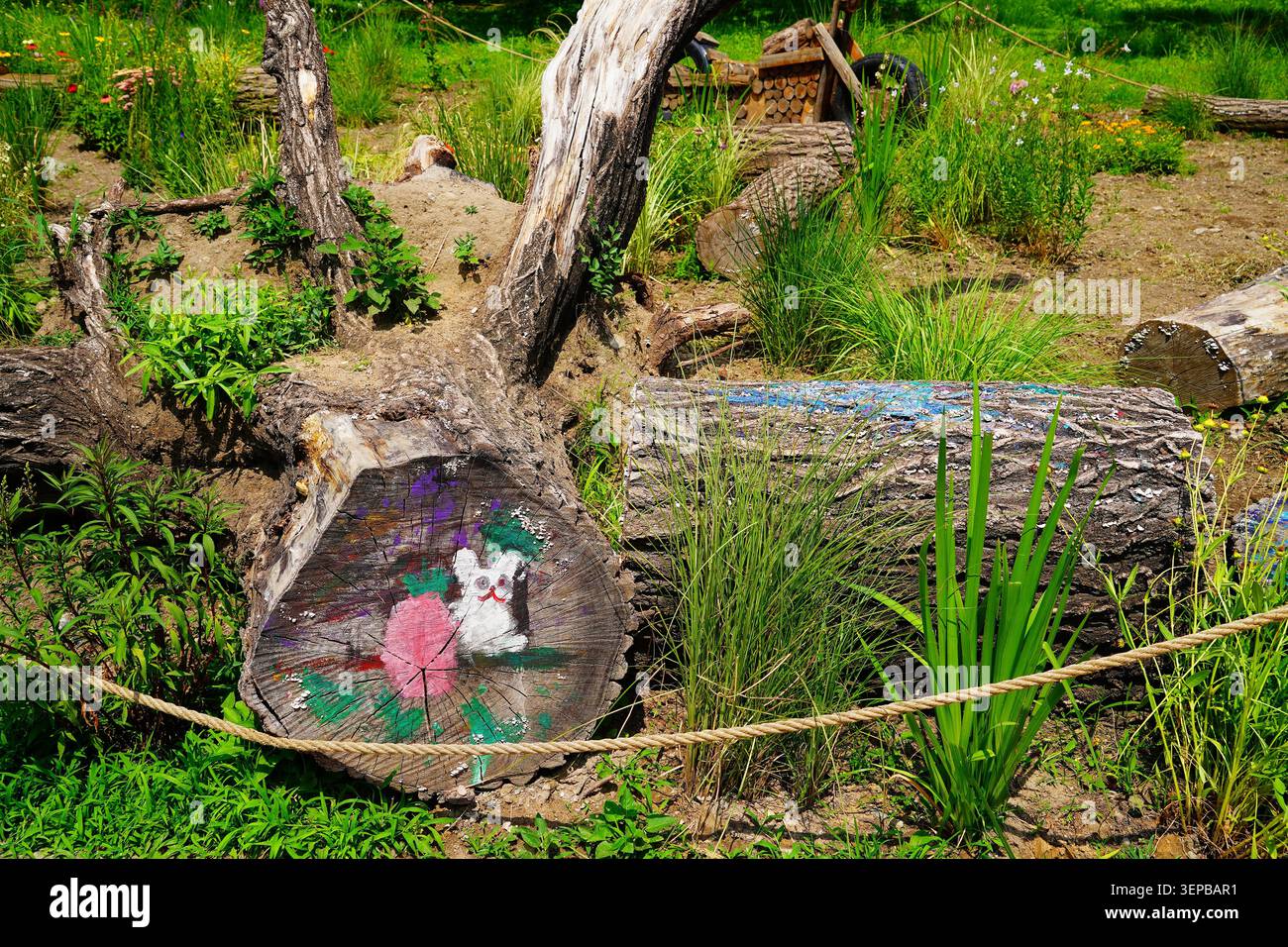 Vibrant cartoon paintings on withered tree trunks attract visitors at ...