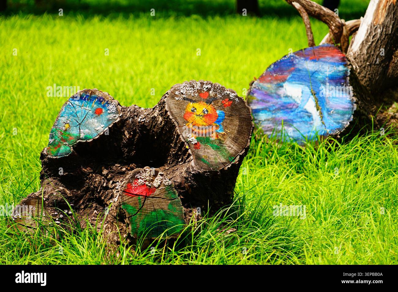 Vibrant cartoon paintings on withered tree trunks attract visitors at ...