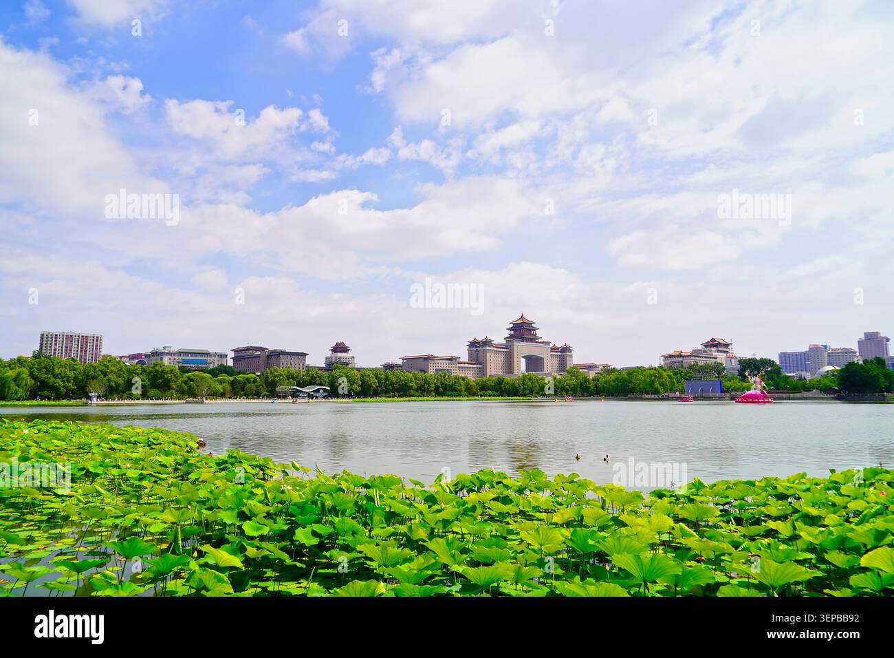 Visitors enjoy summer scenery at Lotus Pond Park under blue skies after ...