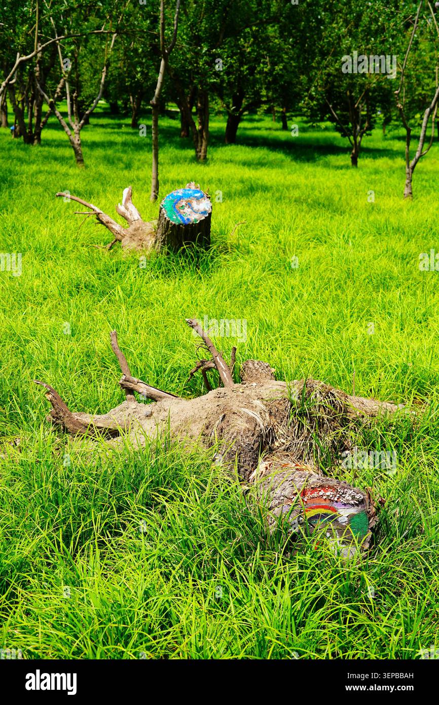 Vibrant cartoon paintings on withered tree trunks attract visitors at ...