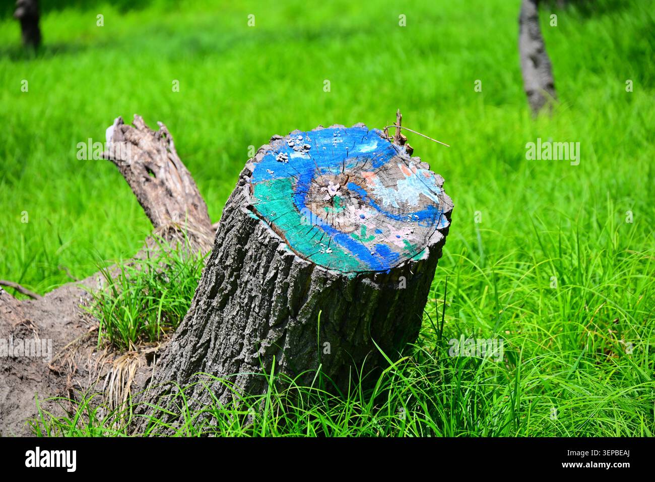 Vibrant cartoon paintings adorn withered tree trunks at Lotus Pond Park ...