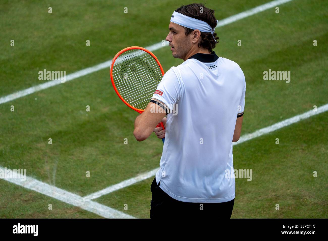 Taylor Fritz, Ben Shelton vs. Taylor Fritz, Tennis, ATP-Turnier, Boss ...