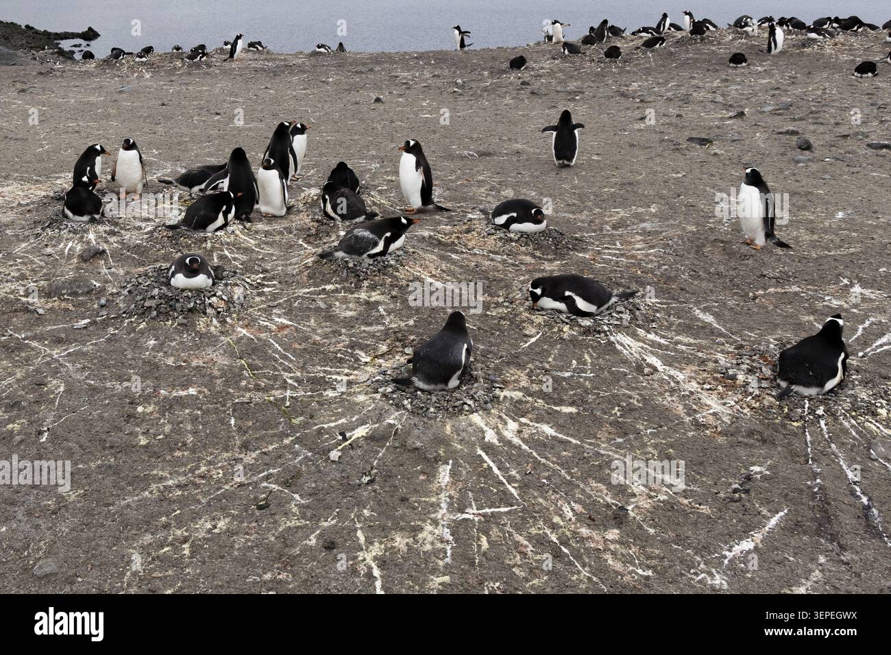 The Netherlands, 2023-12-23 16:57:31 Antarctica - 23/12/2023 ...
