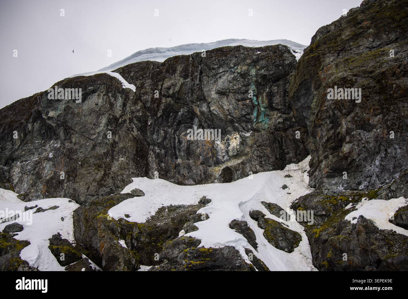 The Netherlands, 2023-12-25 10:44:57 Antarctica - 25/12/2023 - A copper ...