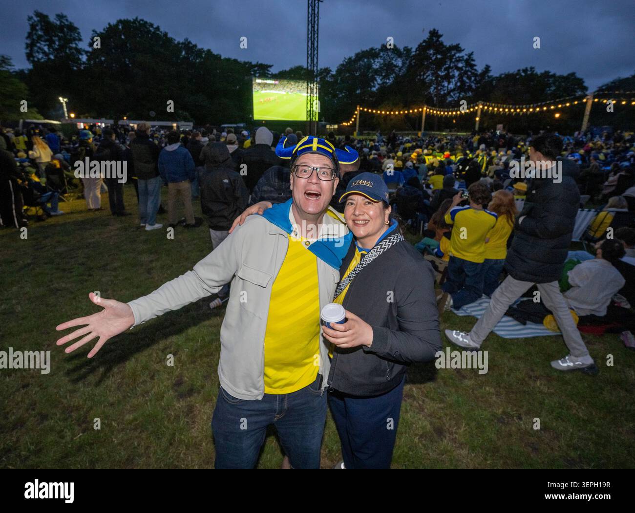 MALMÖ2026-06-15 Swedish fans on the grass at Lördagsplan in Malmö where ...