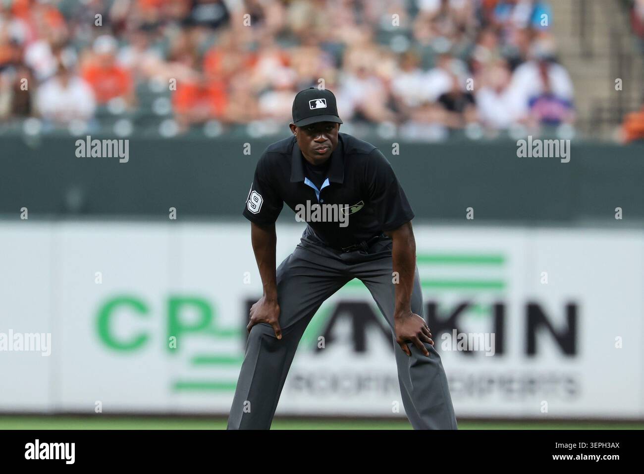 Umpire Felix Neon looks on during a baseball game between the Baltimore ...